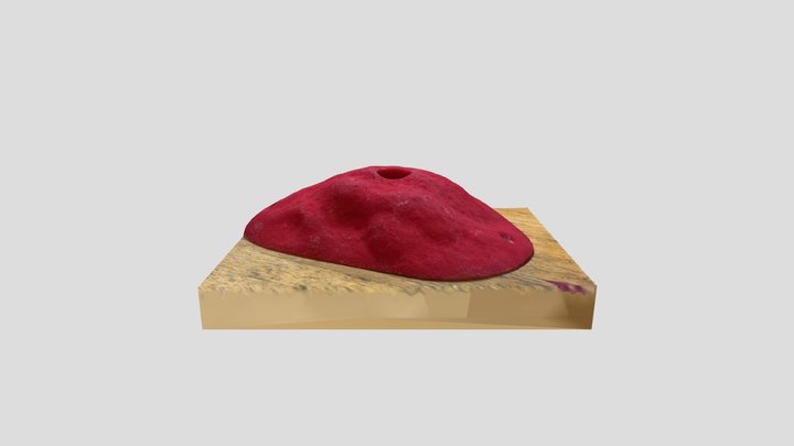 Climbing-hold 3D models - Sketchfab