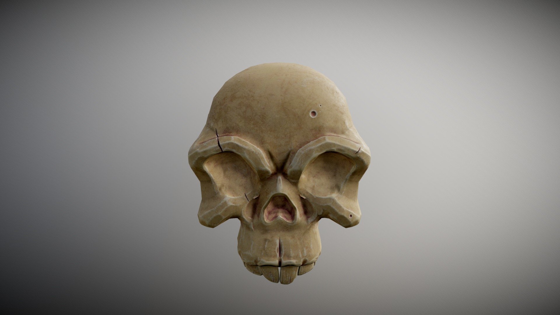 Skull stylized - 3D model by Shikome [ee974ee] - Sketchfab