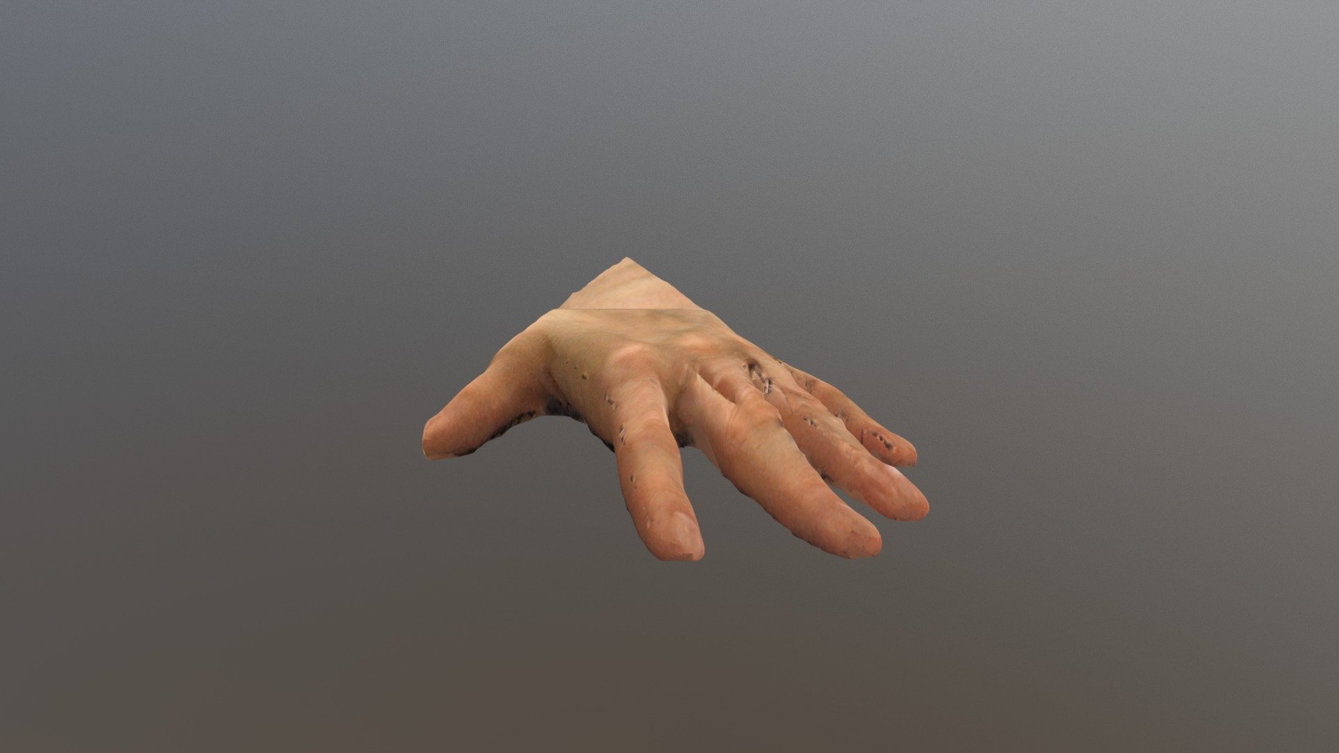 Hand scan test - 3D model by presnov.maxim [ee97980] - Sketchfab