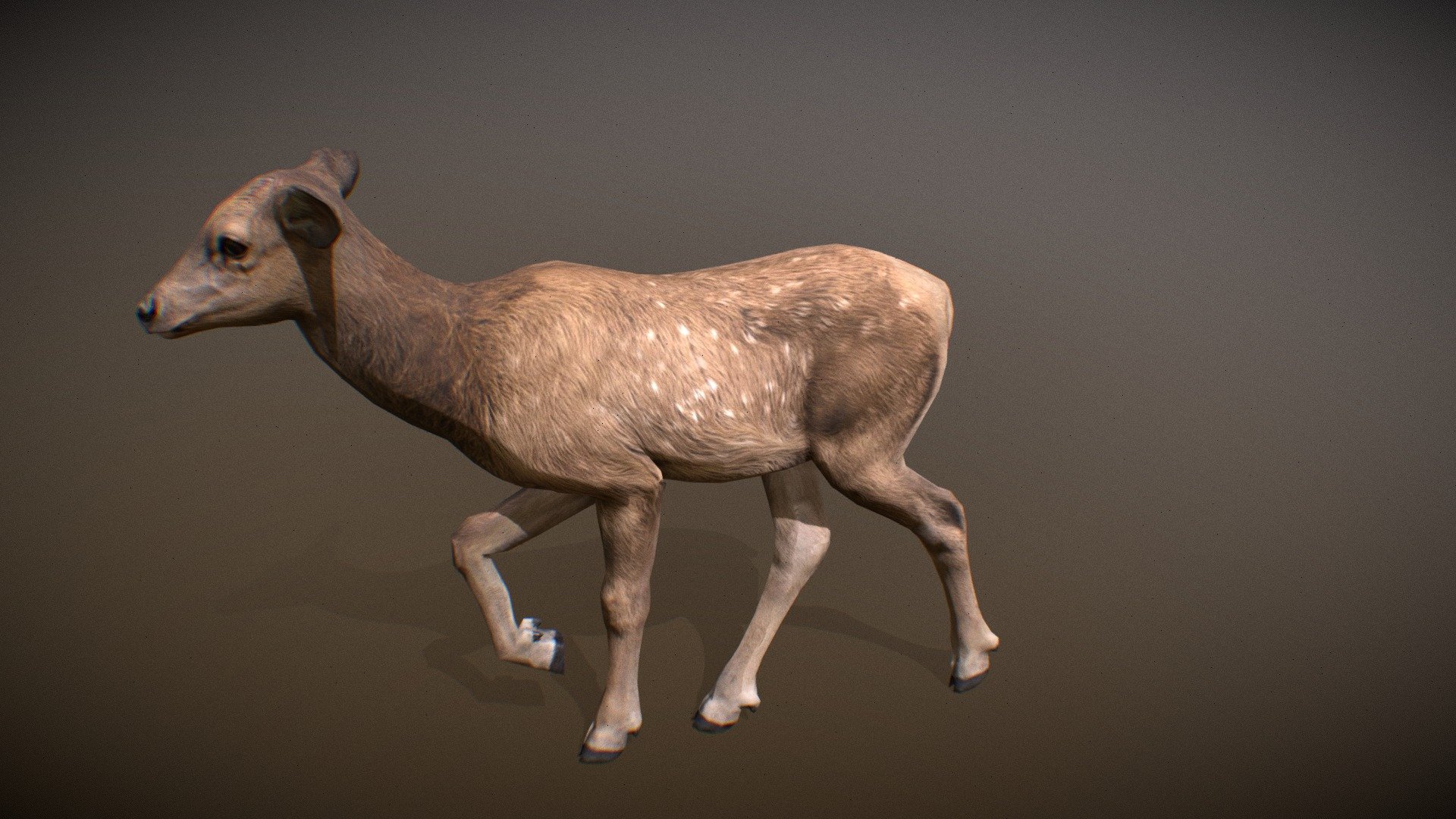 Animalia - Elk (young) - 3D model by GiM (@GamesInMotion) [ee9b04f ...