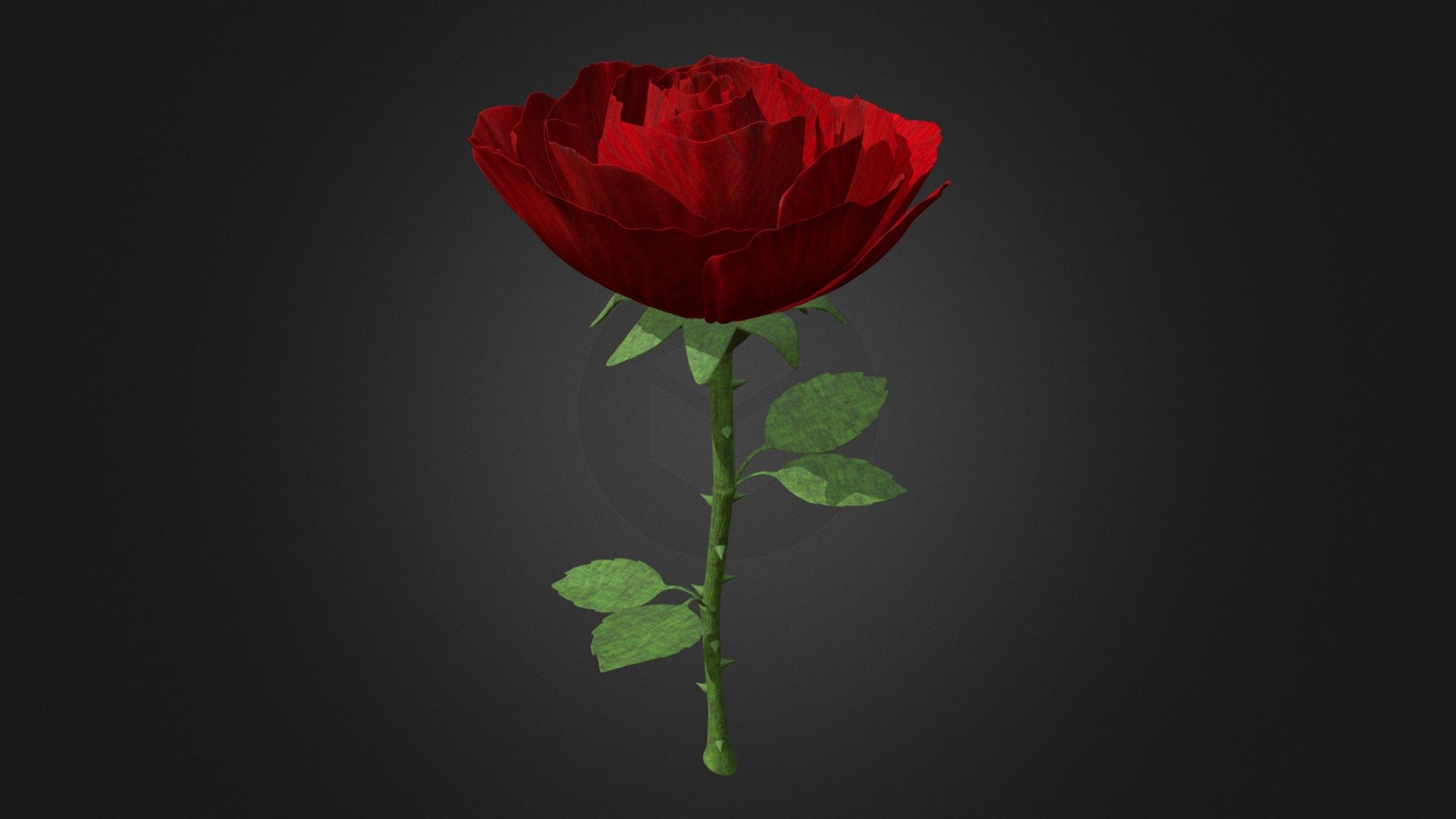 Red Rose - 3D model by AiirinM [eea6147] - Sketchfab