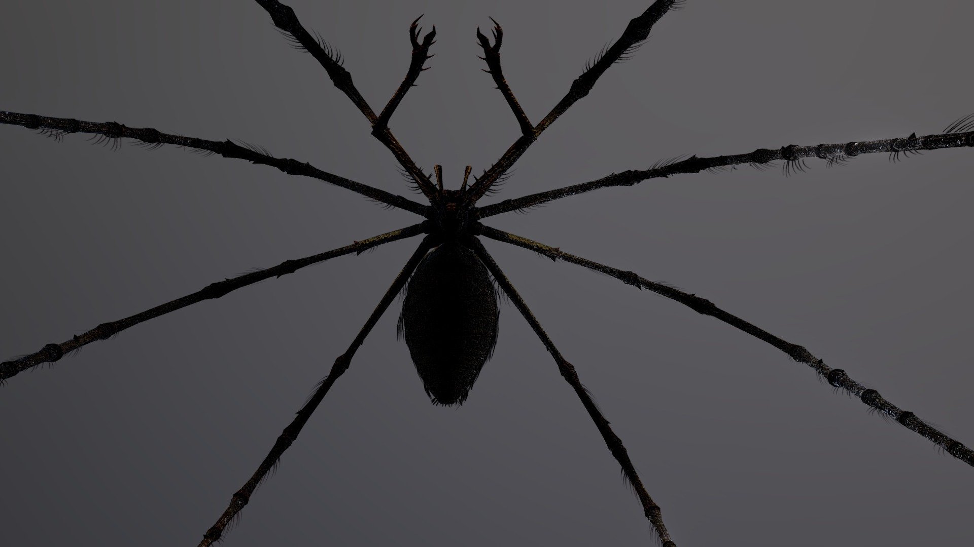 Mother Long Legs - Download Free 3D model by SpiderBight [ArachnoBoy ...