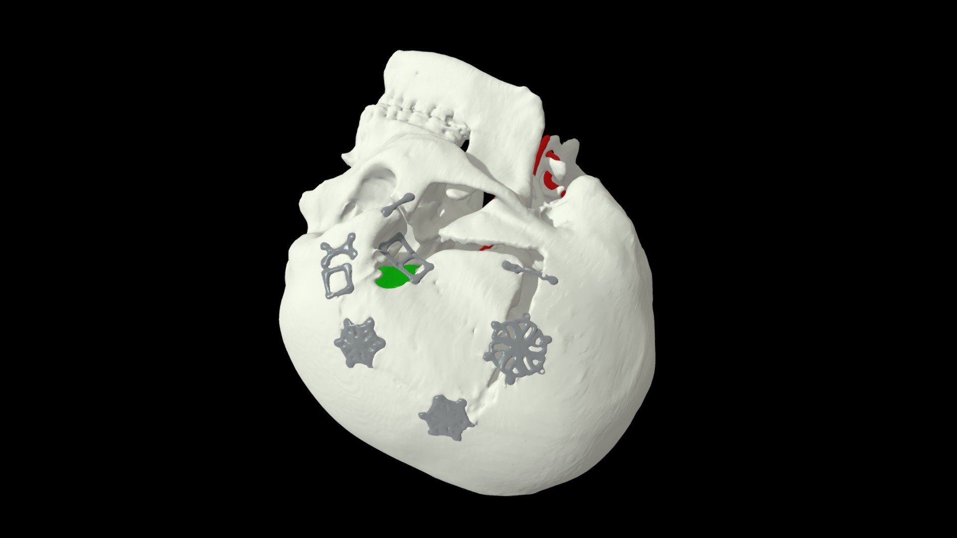 SB0050 FT OOO M - 3D model by SkullBasics [eeb0bfa] - Sketchfab