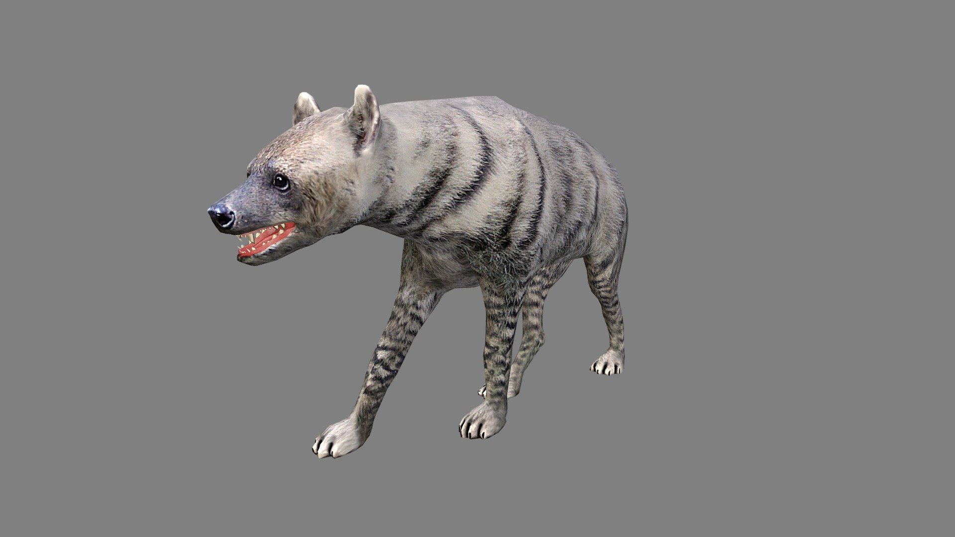 Hyena - 3D model by josluat91 [eeba9e8] - Sketchfab