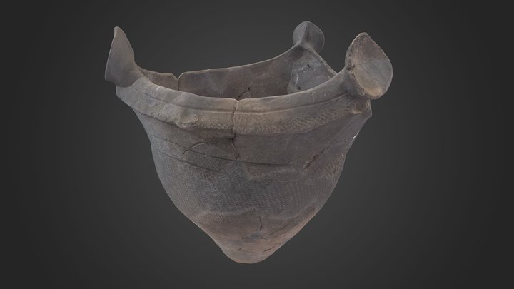 Doki 3d Models Sketchfab