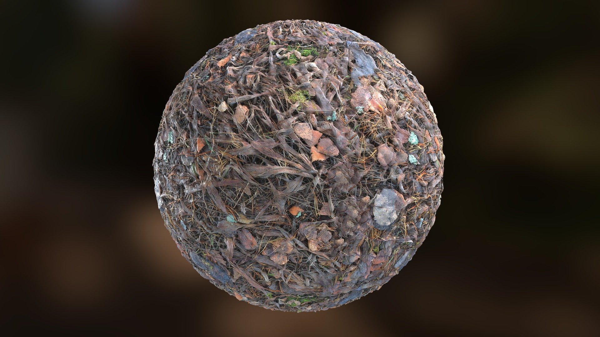4K Tillable forest floor material - Buy Royalty Free 3D model by cotman ...