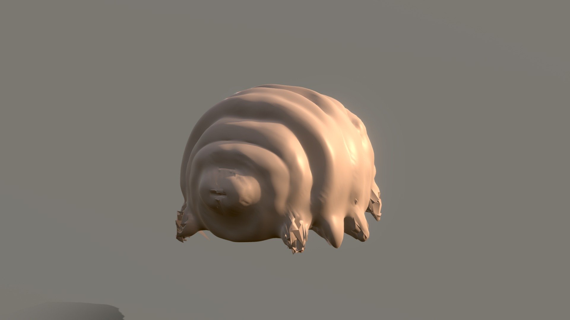 Tardigrade - 3D model by lemongraass [eec5e84] - Sketchfab