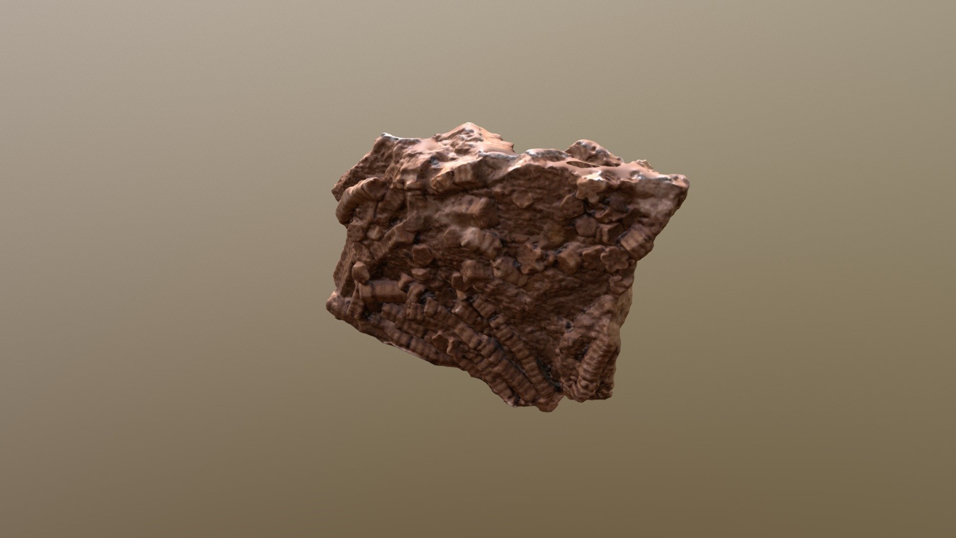 Jurassic Crinoid Fossil - Pentacrinites - 3D model by Elliot Dean ...