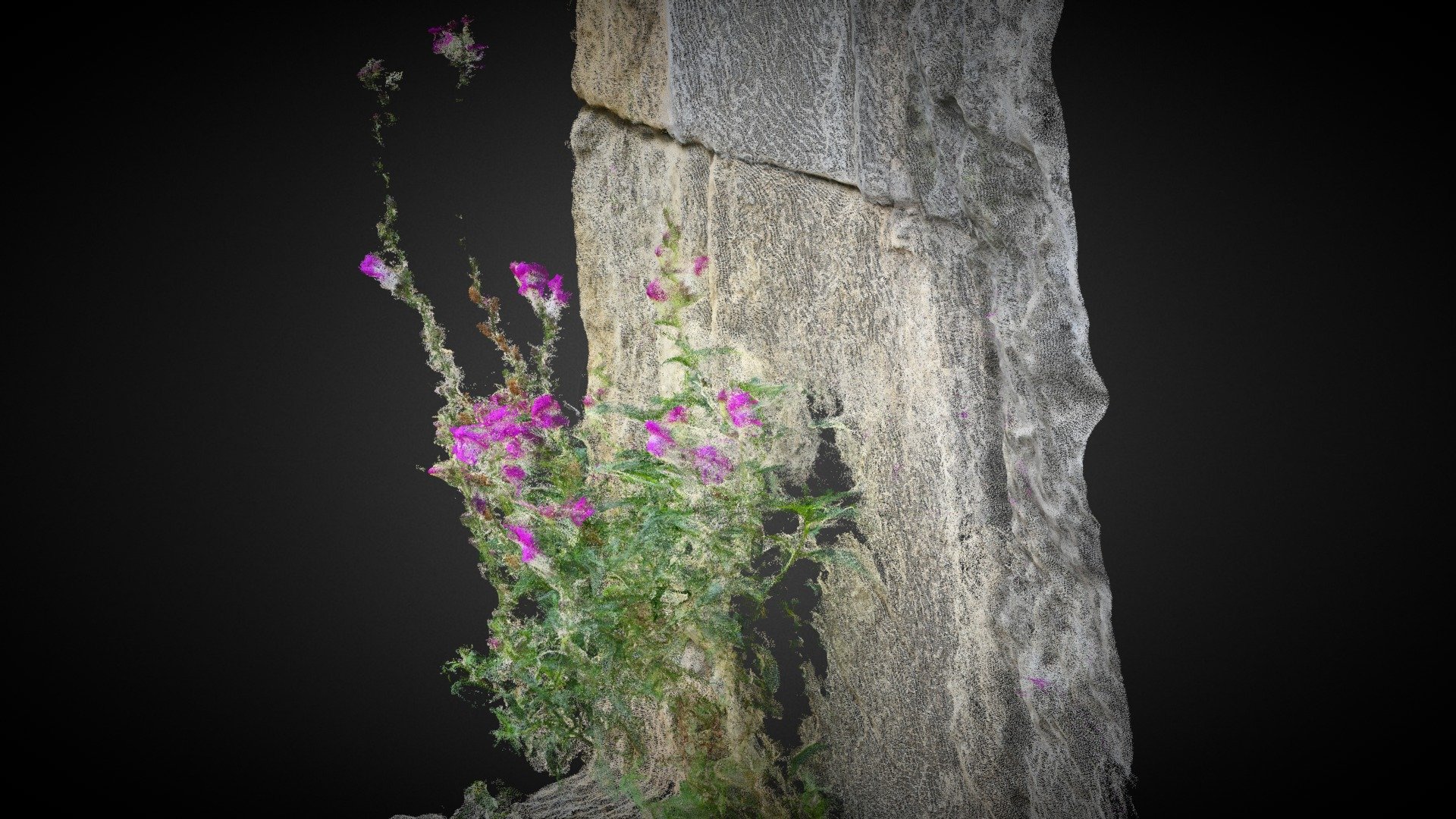 floare de beton - 3D model by energeticspell [eed09a9] - Sketchfab