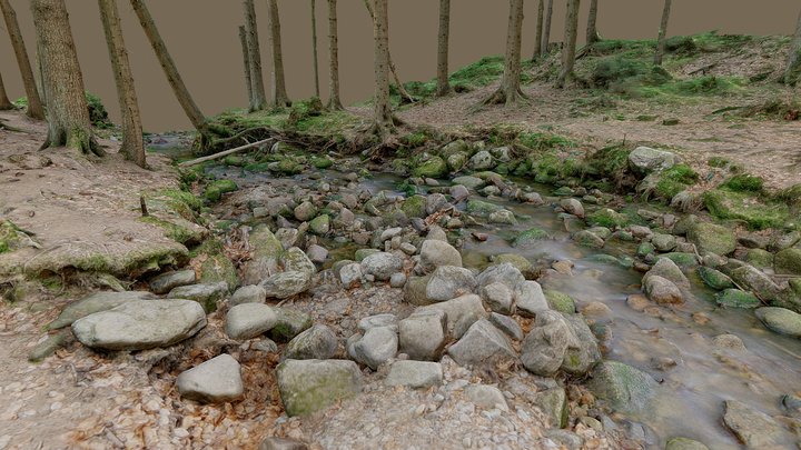 Megascans 3D models - Sketchfab