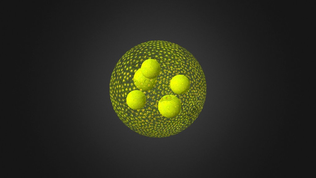 Cell project - A 3D model collection by justinbowen519 - Sketchfab