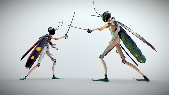 Beetle 3D models - Sketchfab