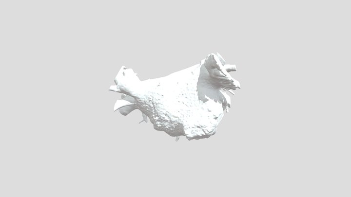 Left_atrium 3D models - Sketchfab