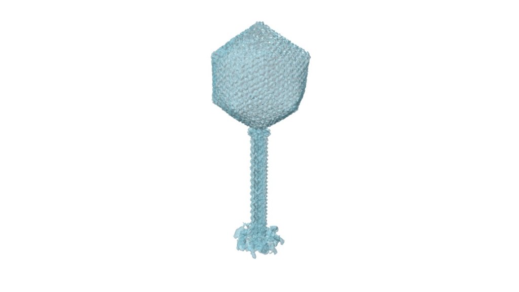 EMDB › EMD-1415 - 3D model by Interactive 3D Data (@proteinsimulation ...