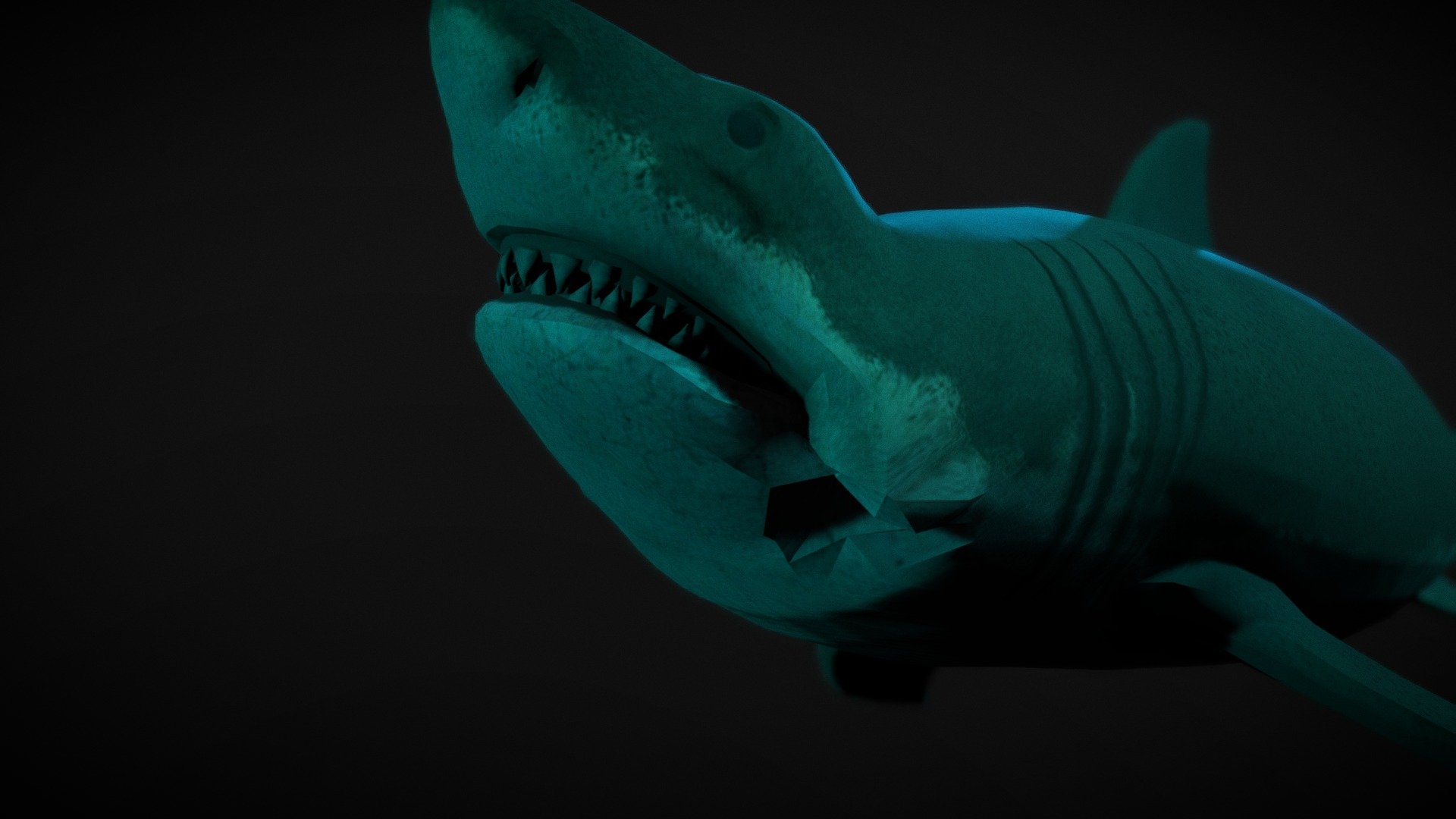 Animated Shark - Download Free 3D model by Pumpkin (@savounited ...