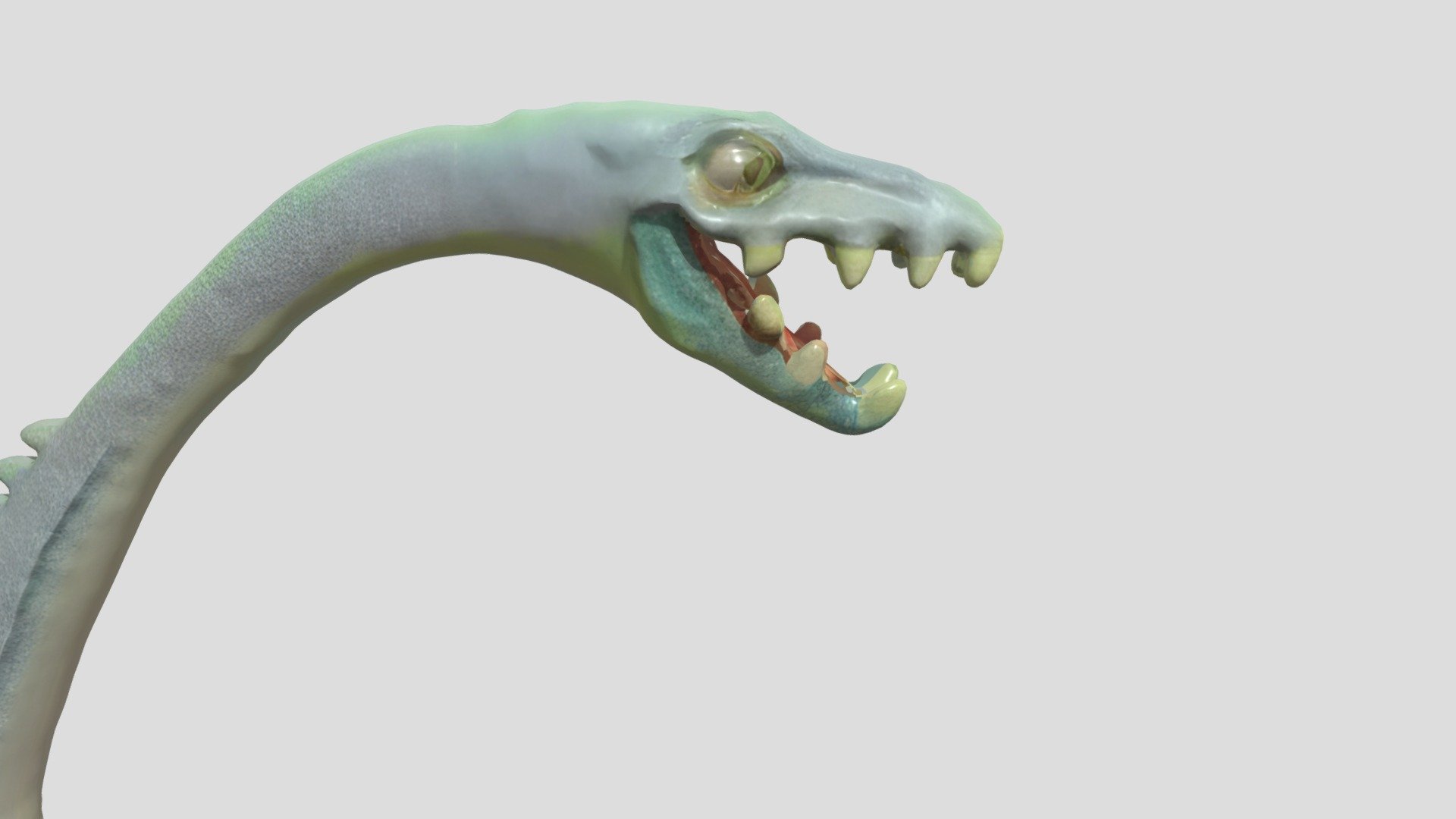 Tanystropheus head - Download Free 3D model by dinoguy263allo [ef06acf ...