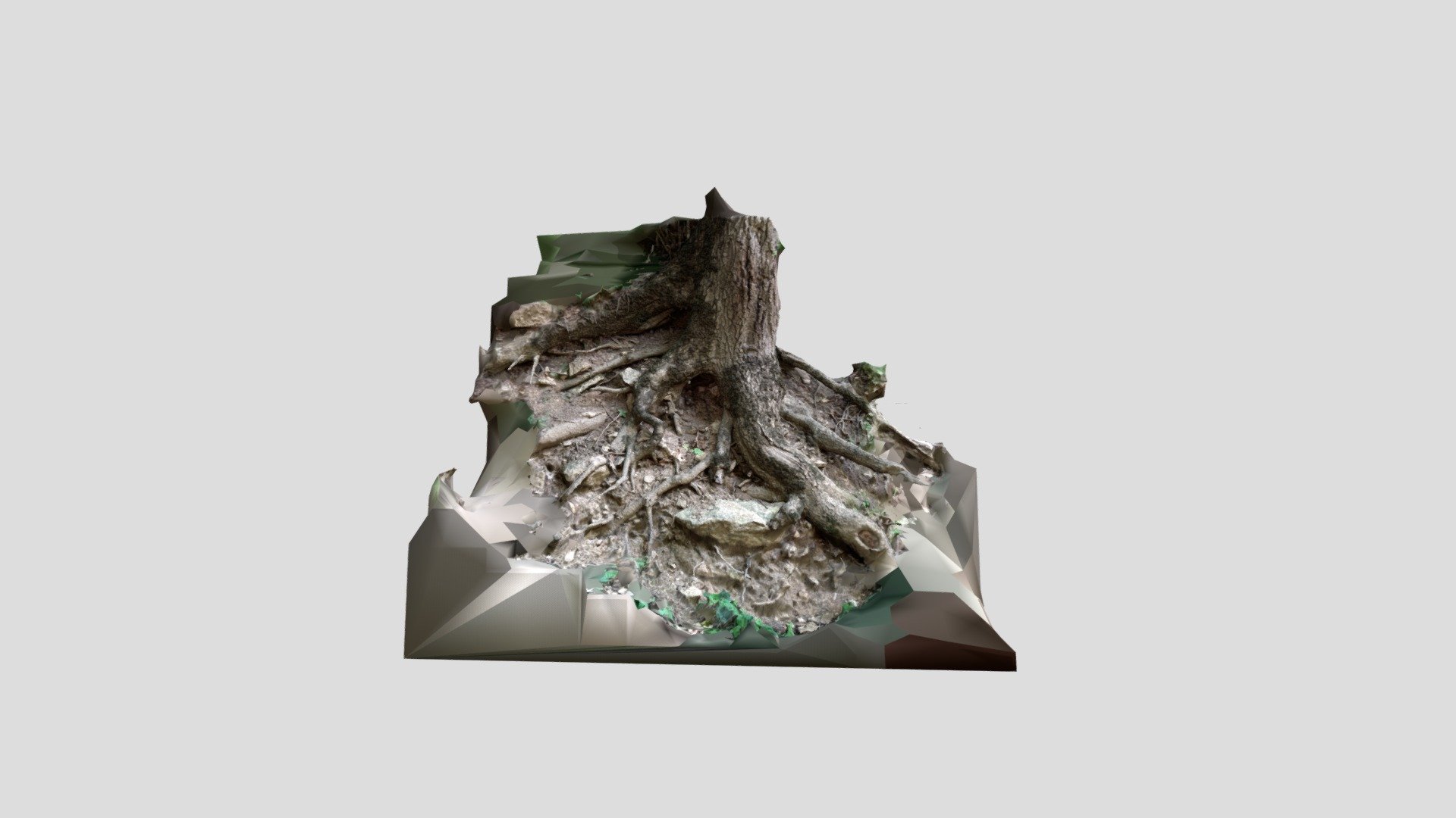 Tree roots - Download Free 3D model by nyannya (@nyannya1337) [ef10f89 ...