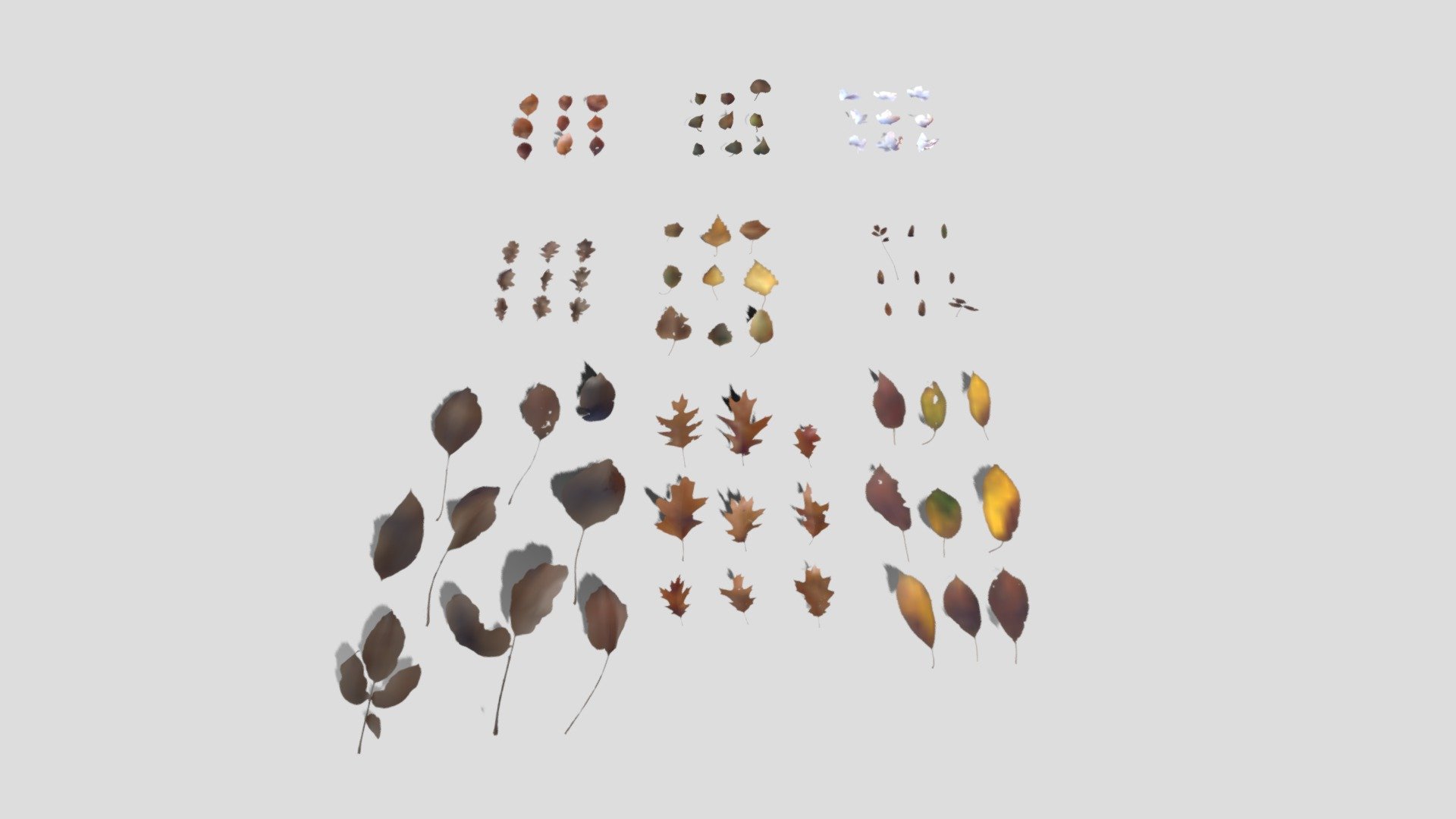 Dry Leaves Pack - Buy Royalty Free 3D model by kambur [ef140c3 ...