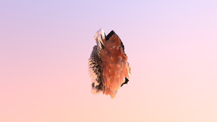 Grounded 3D models - Sketchfab
