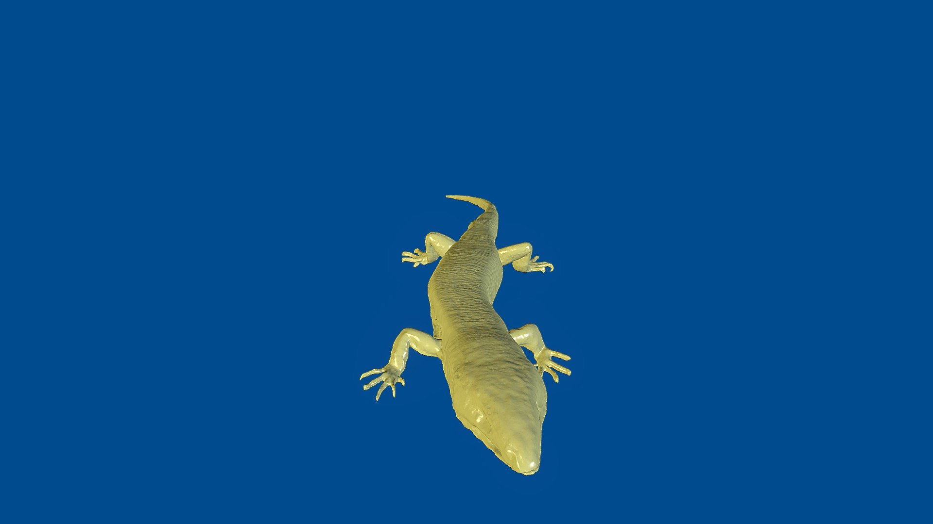 Shore skink - Download Free 3D model by nzfauna [ef1e575] - Sketchfab