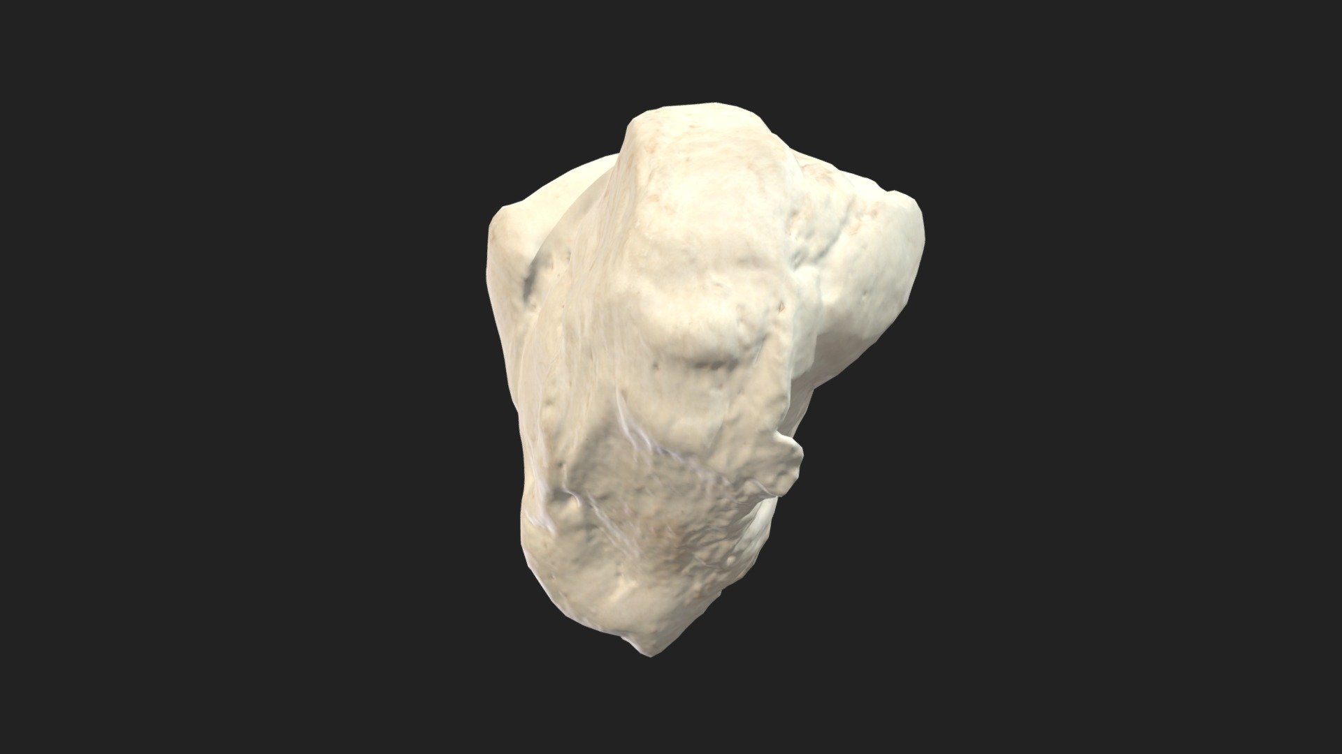 kneecap (patella) cow 1 - Download Free 3D model by vetanatMunich ...