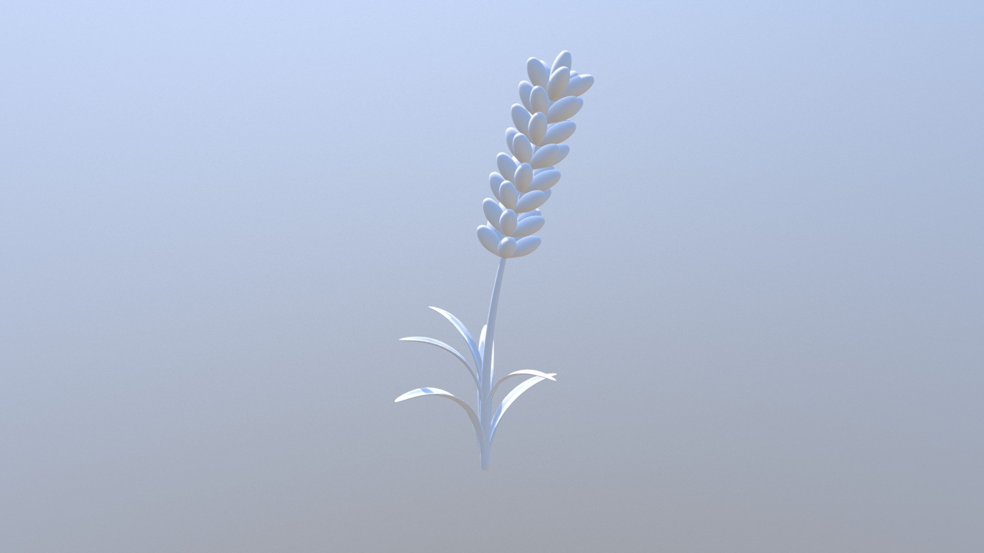 lavender - 3D model by bchong [ef22c44] - Sketchfab