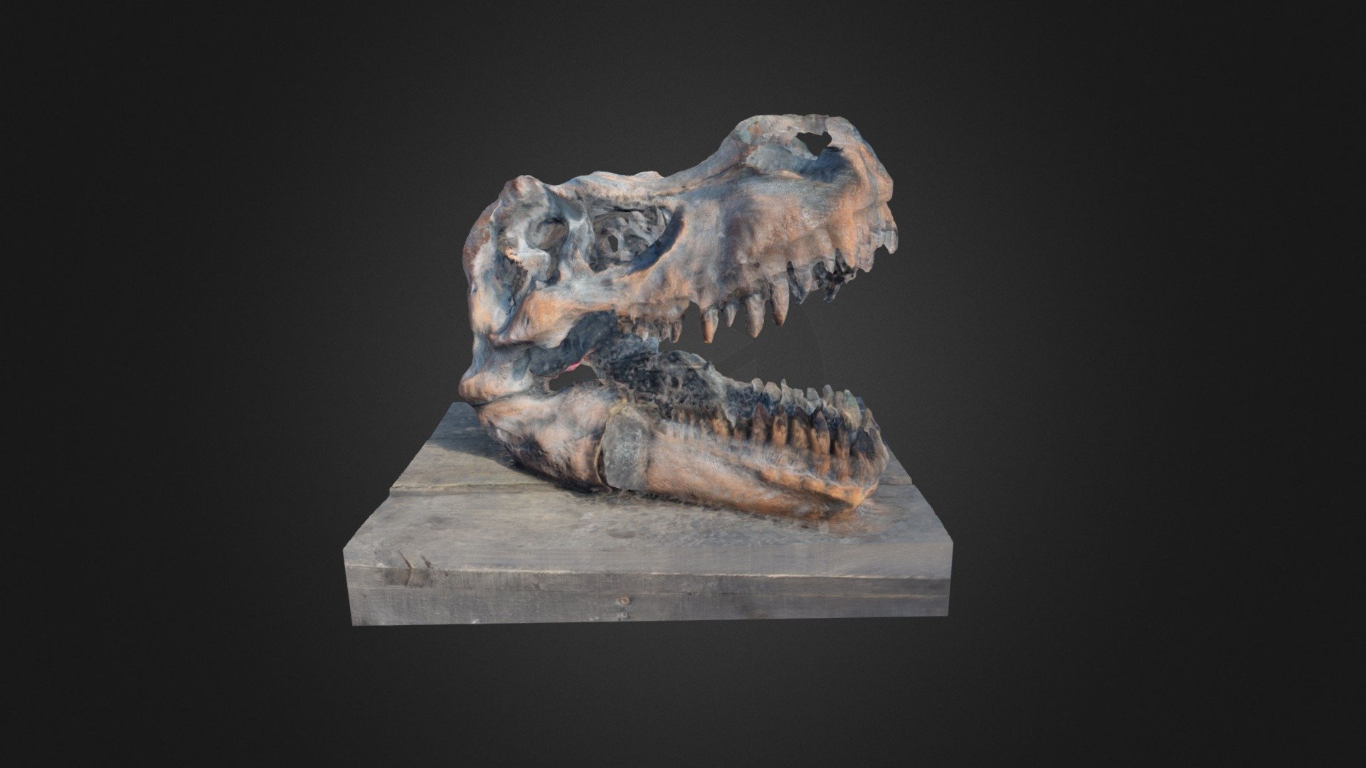Rexy - Download Free 3D model by joe_adams [ef23e36] - Sketchfab