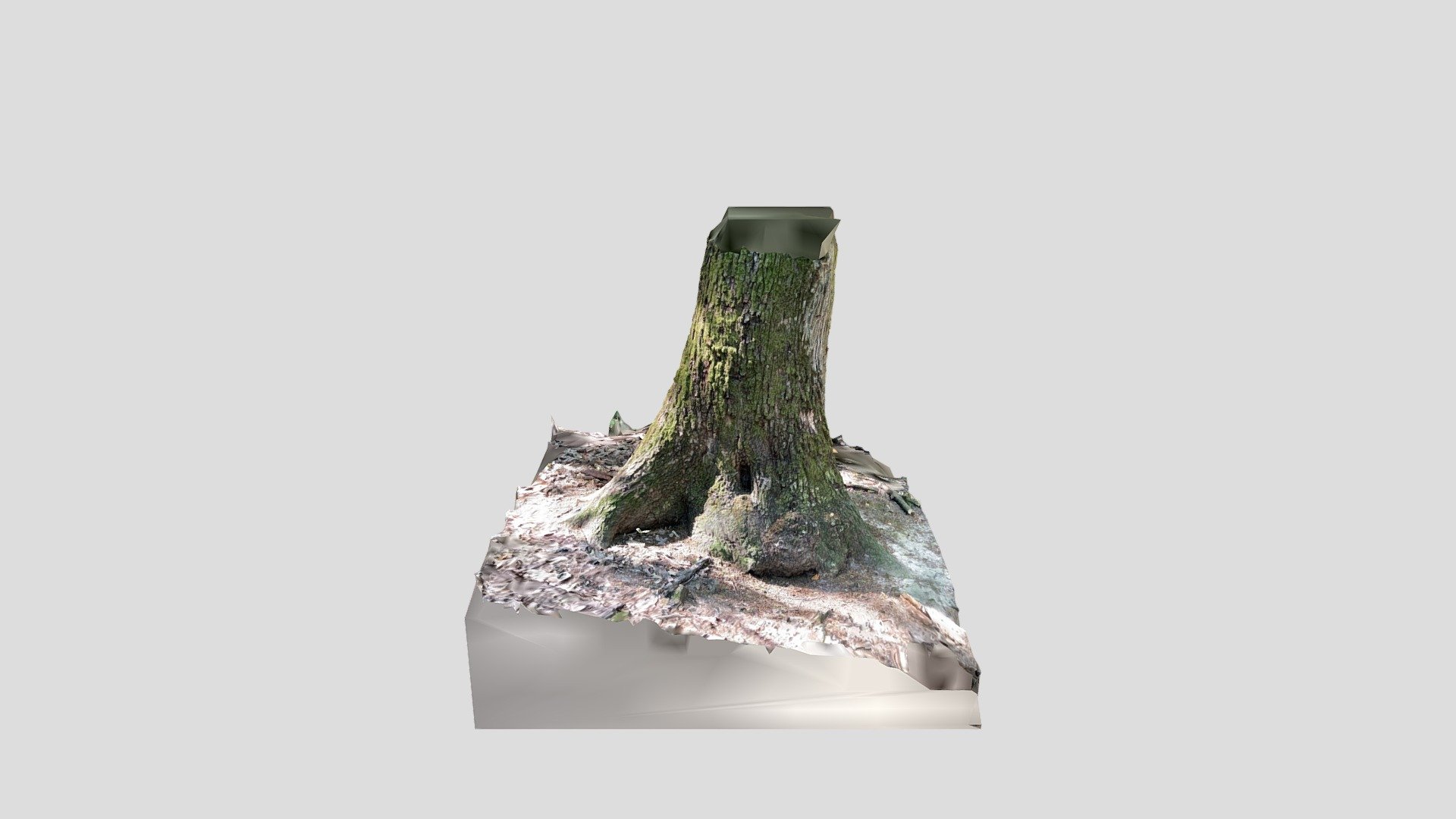 Aplikácia Reality Scan - 2022-06-30 - Download Free 3D model by Yo3hi ...