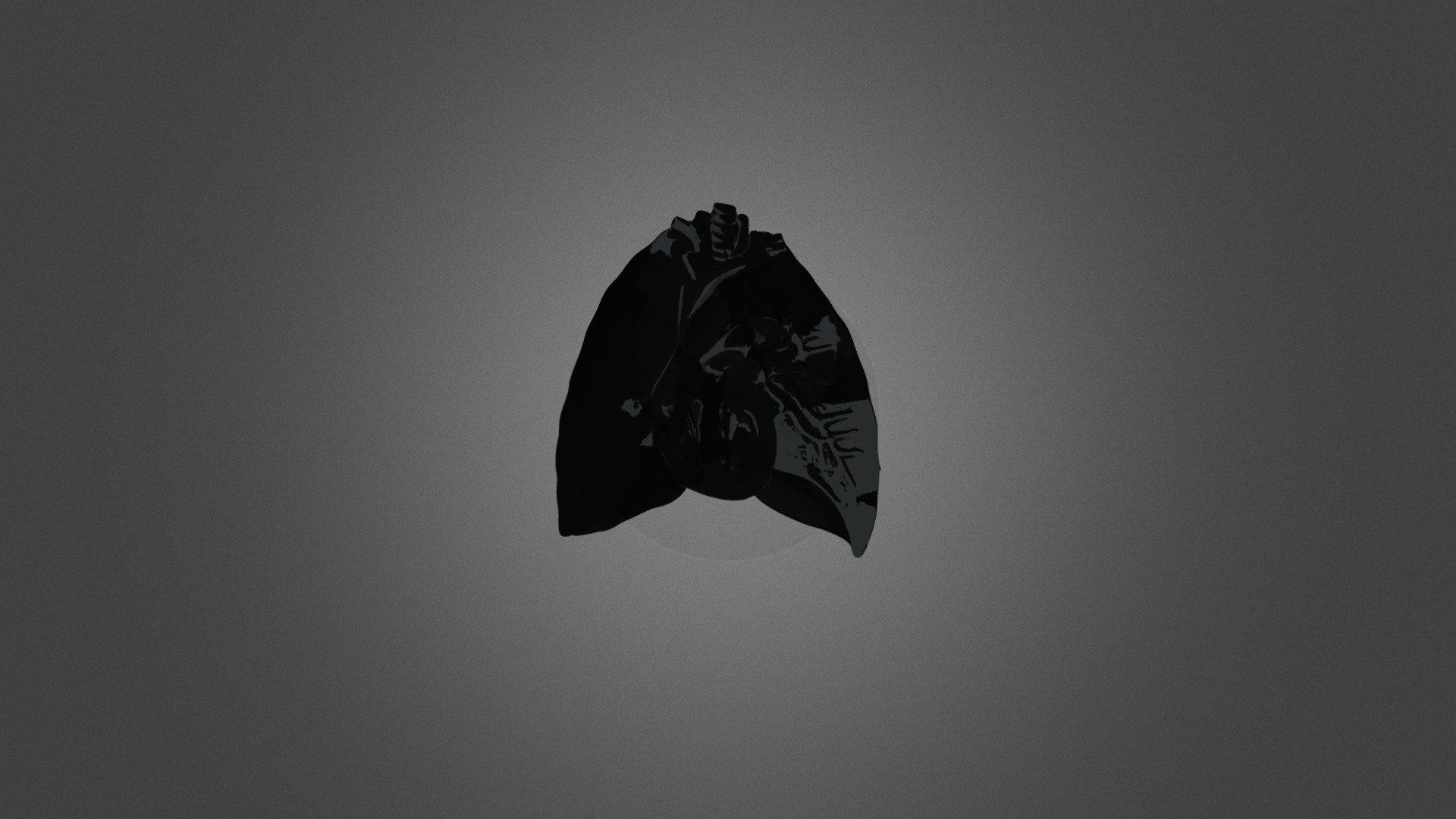 Pulmón y corazón - 3D model by morfofuncion_udp [ef421c3] - Sketchfab
