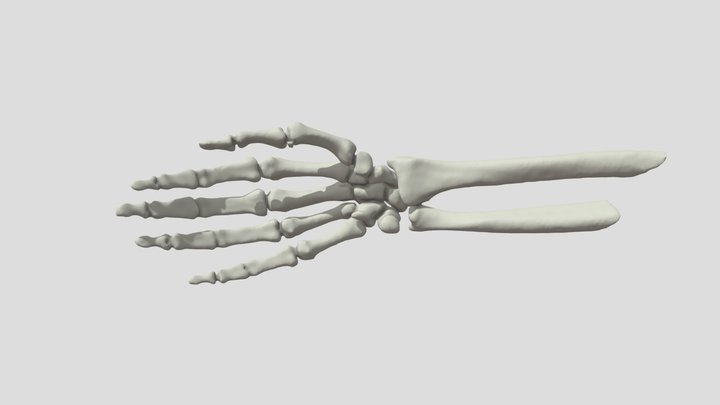 Mano 3D models - Sketchfab