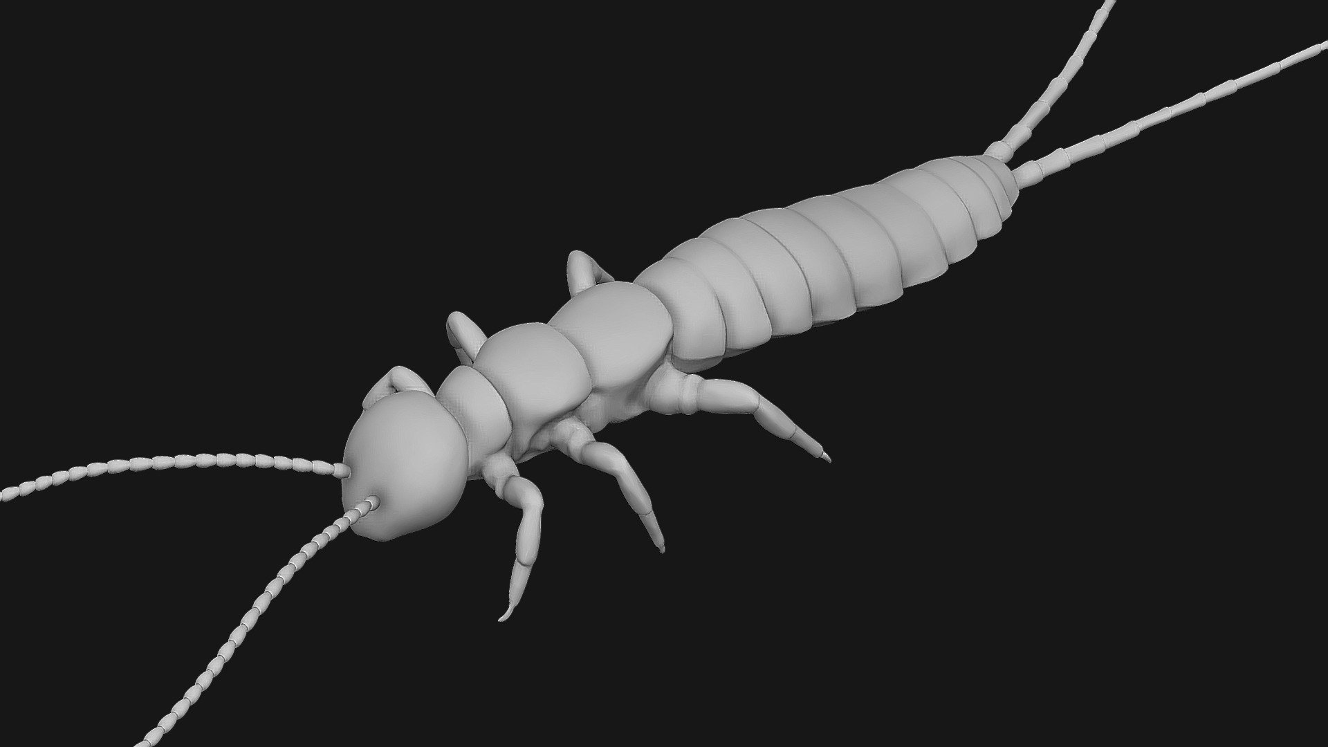 Campodeidae - Download Free 3D model by tunosemi [ef4dc92] - Sketchfab