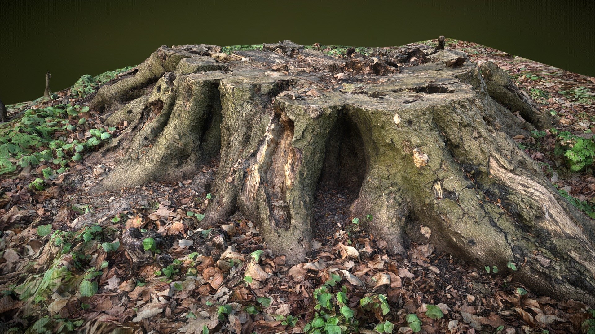 Tree stump 4K - Download Free 3D model by Tim Granlund Marsden (@timgm ...