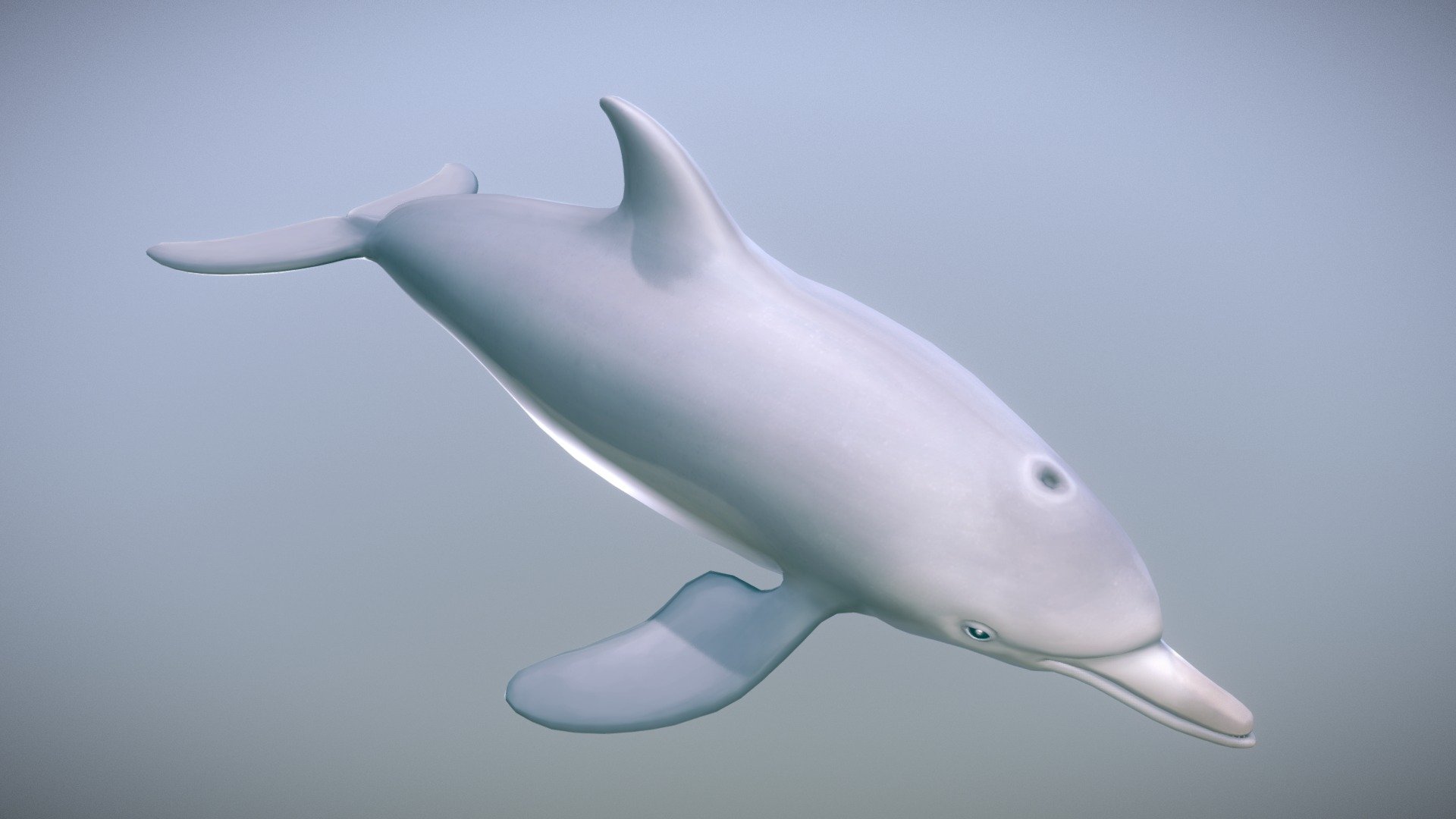 Dolphin - 3D model by Tallon Watt (@tallonwatt) [ef5aad6] - Sketchfab