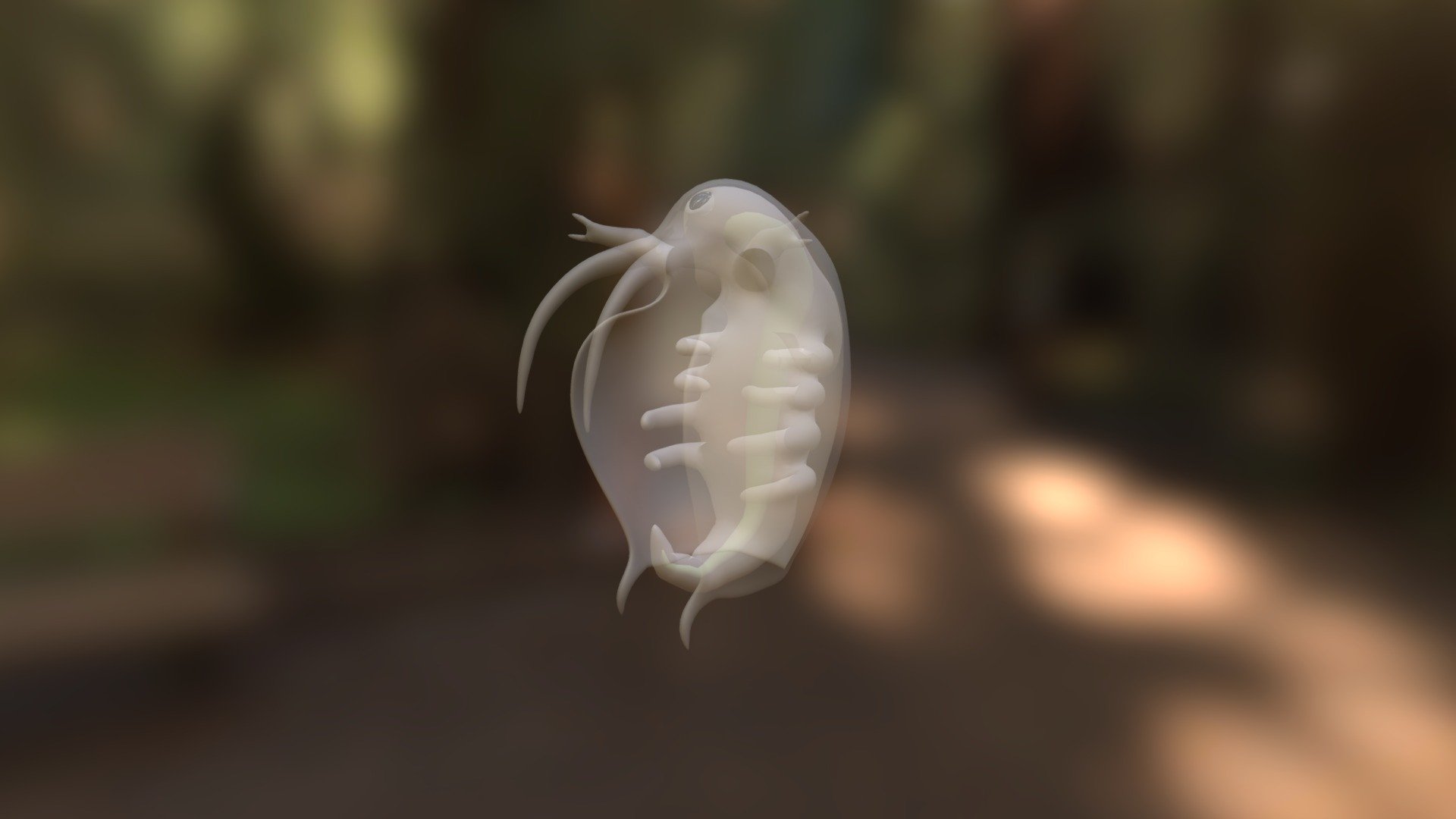 Bosmina - 3D model by ucdavisterc [ef5cebc] - Sketchfab