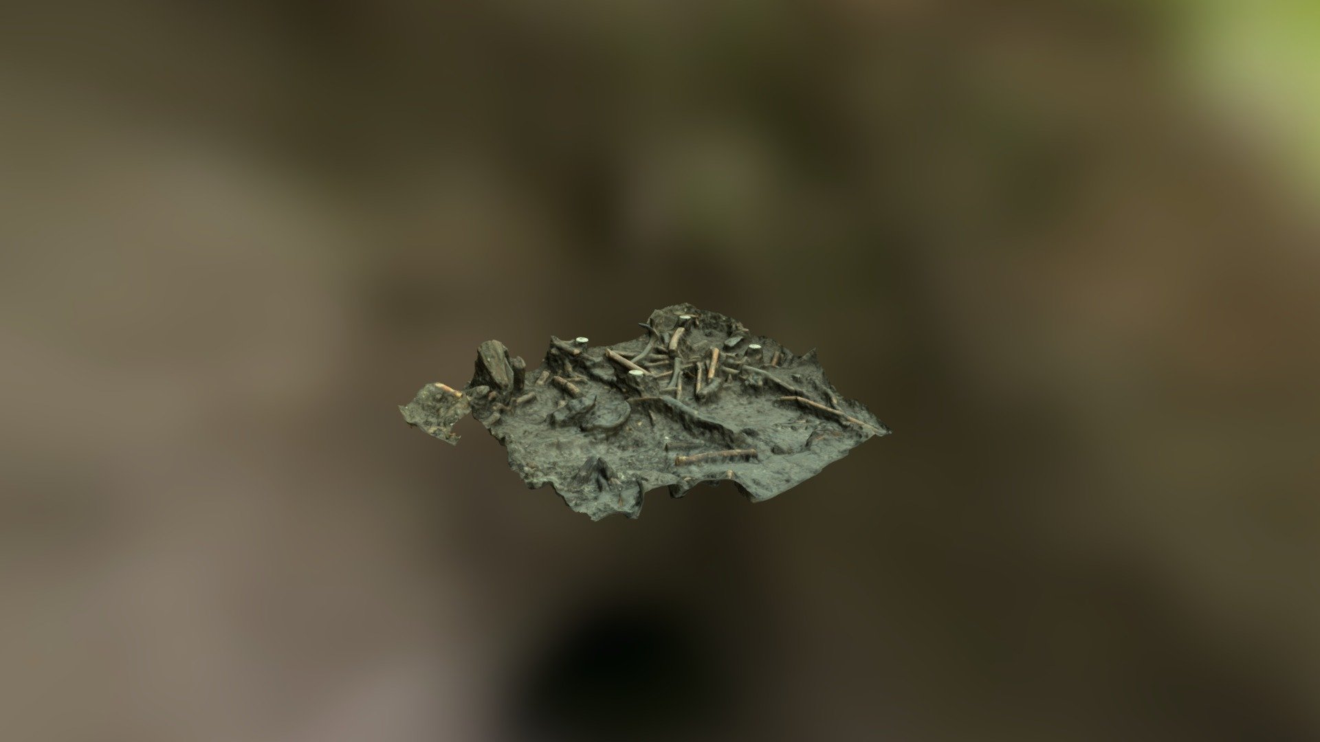 Scene1 - 3D model by Museum Lolland-Falster (@museumlollandfalster ...