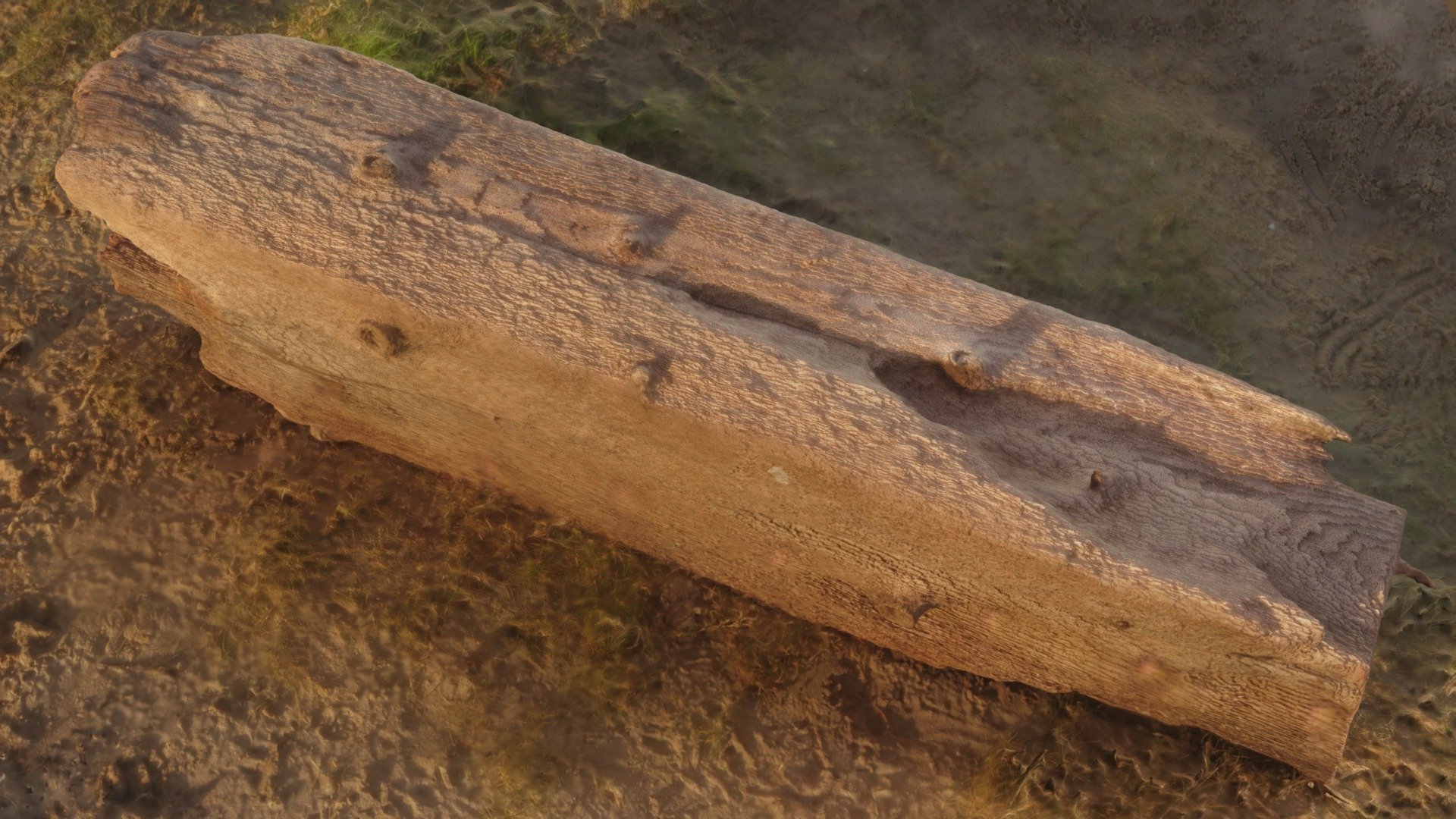 Beach Log - Download Free 3D model by Megalith Archive ...
