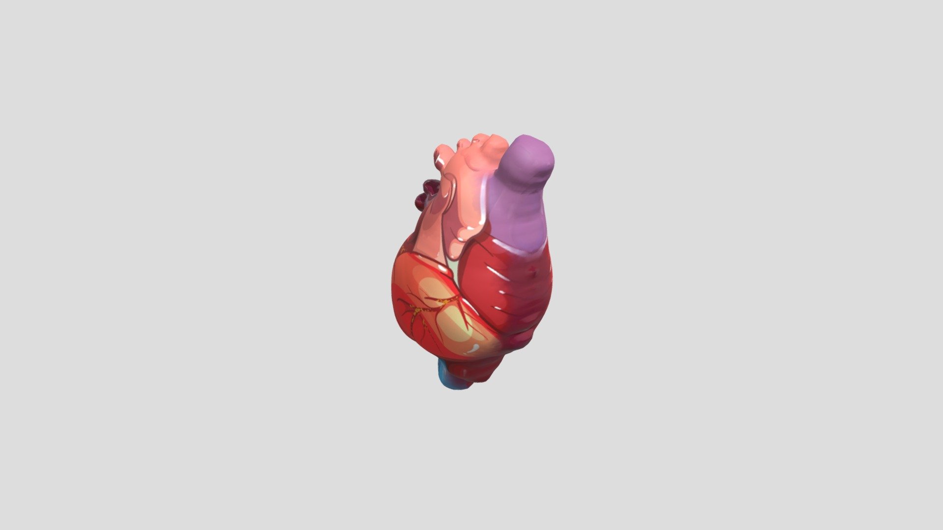 The Human Heart - 3D model by Ellizaandh18 [ef9aab0] - Sketchfab