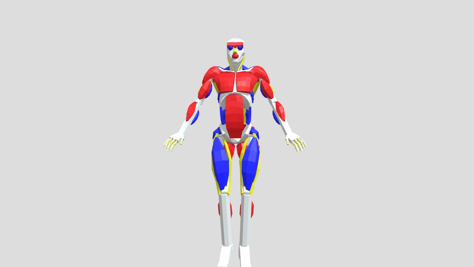 Human anatomy/ Base Mesh - Download Free 3D model by GaminRots ...