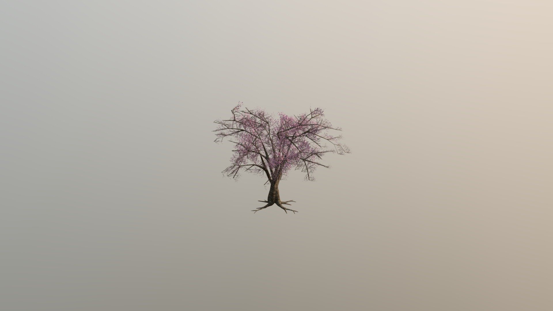 Sakura - 3D model by jjtorenti [efa5761] - Sketchfab
