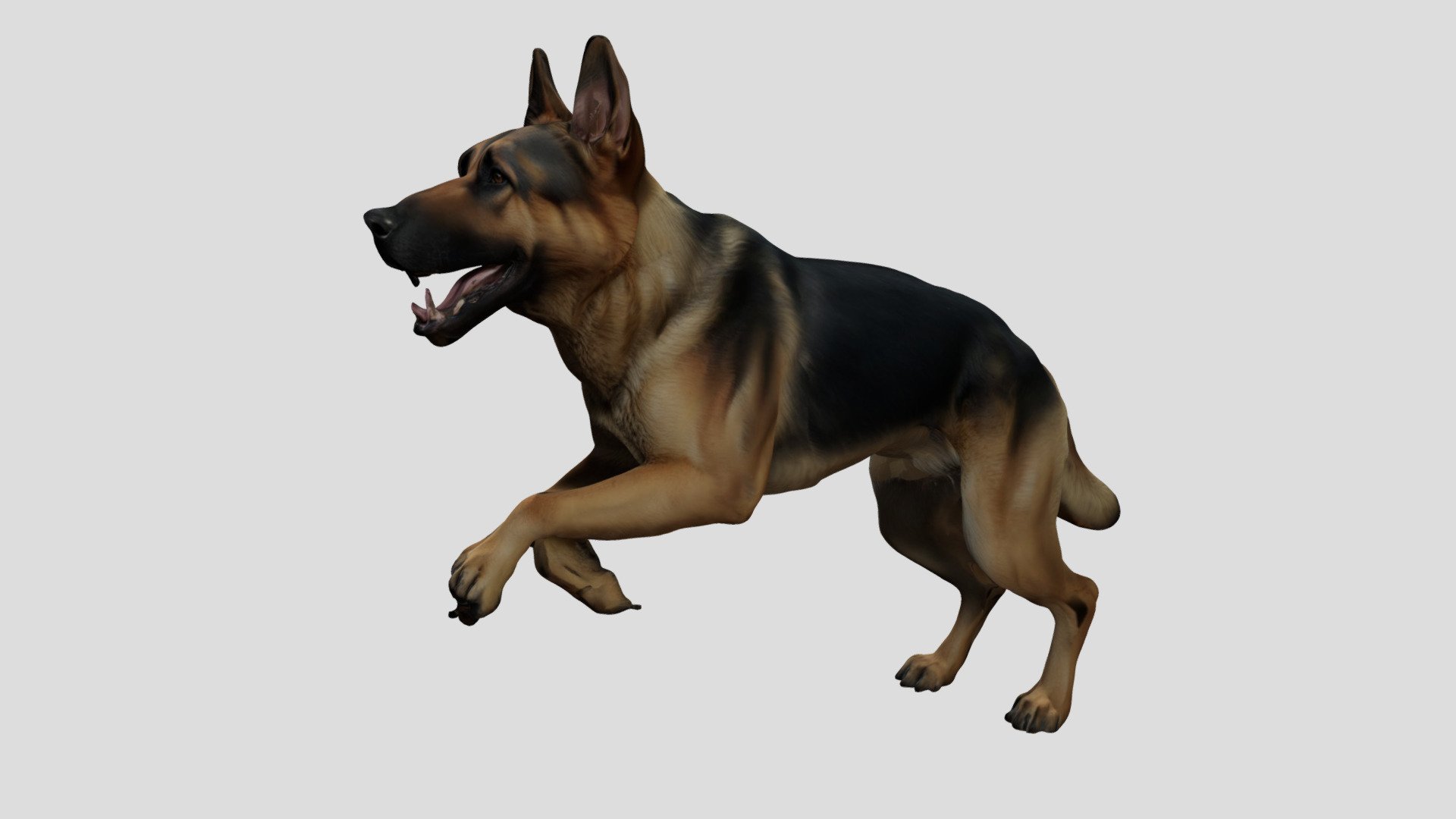 German Shepherd - dog - Download Free 3D model by Brian Trepanier ...
