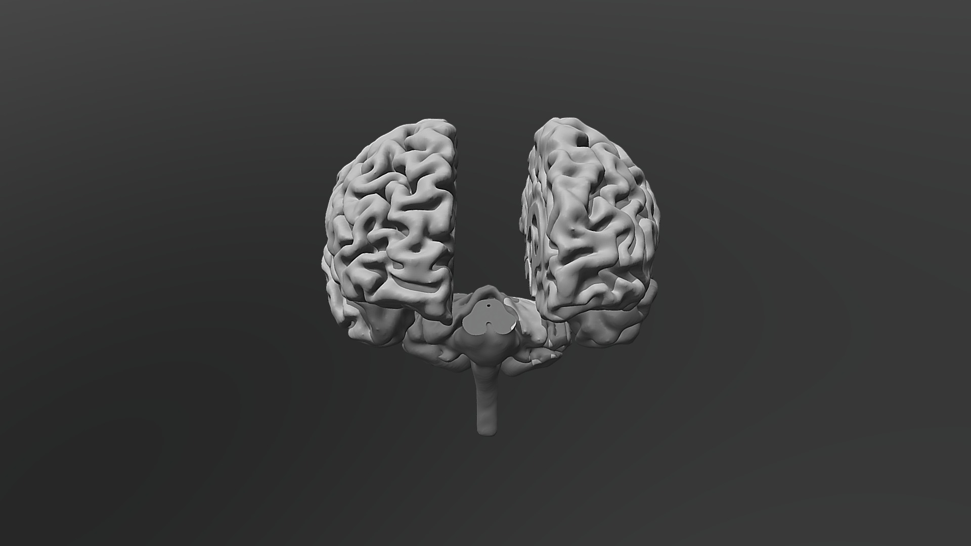 Brain - three parts - Download Free 3D model by valchanov [efb5acb ...