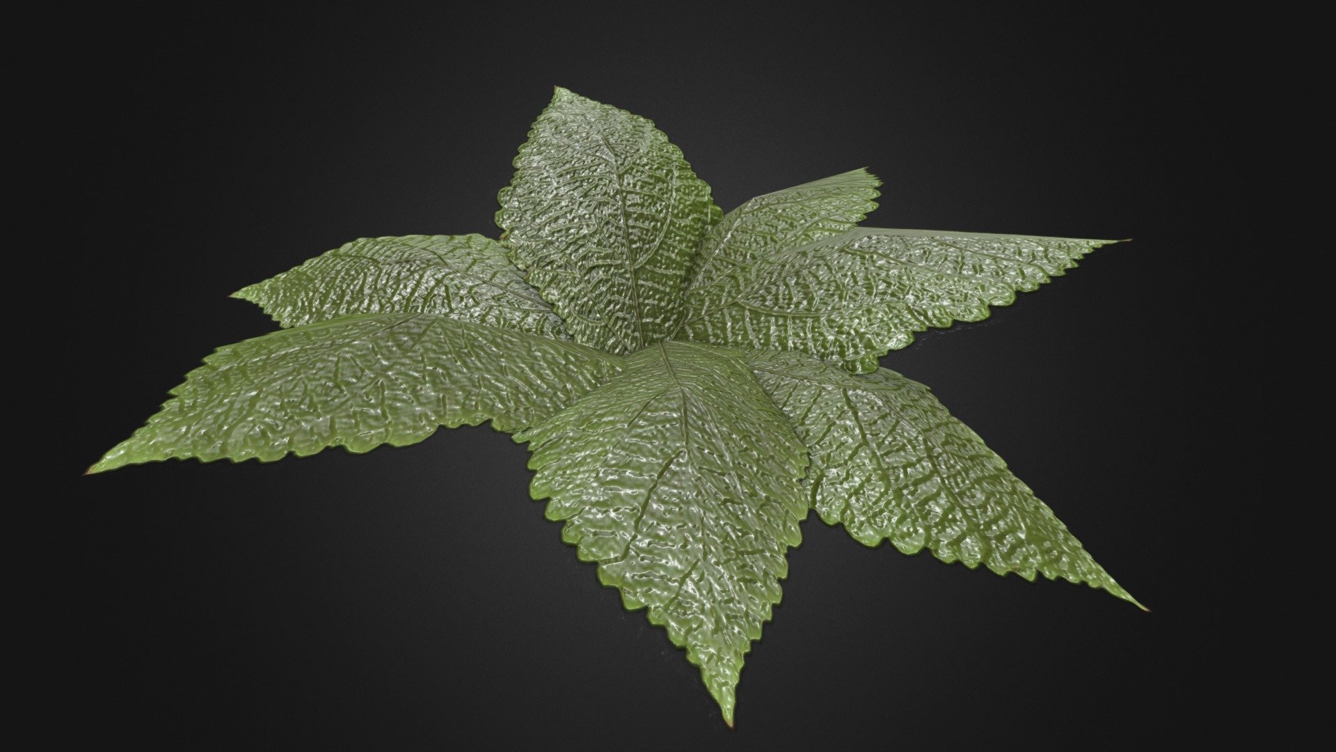 Gress_2 - 3D model by Zhen Kuan (@ZhenKuan) [efbf94f] - Sketchfab