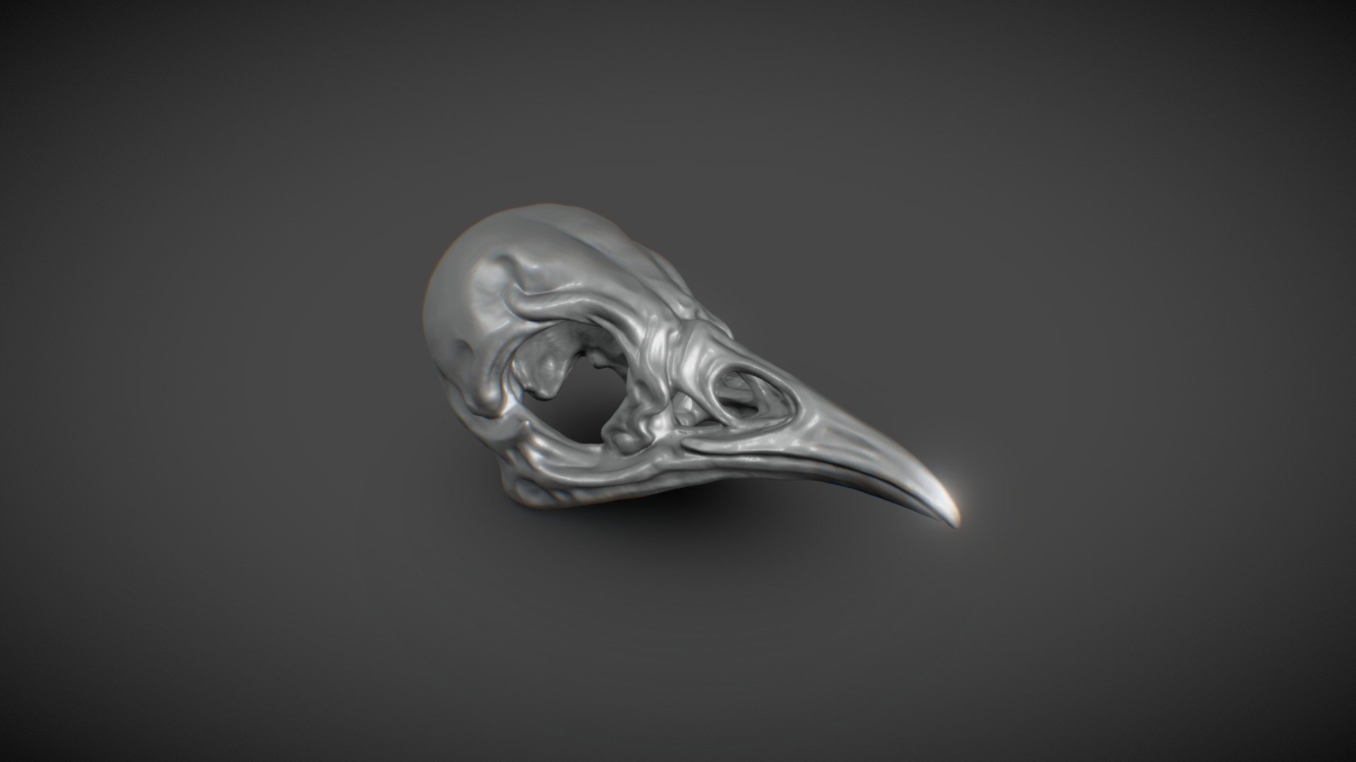 Starling Skull - 3D model by theWingedPlatypus [efc4d99] - Sketchfab