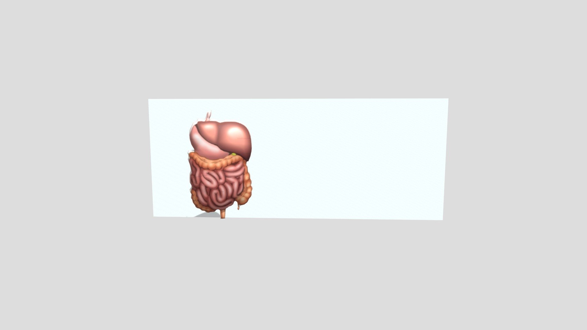 ORGAN - 3D model by Mufti (@muftihah) [efc51b8] - Sketchfab