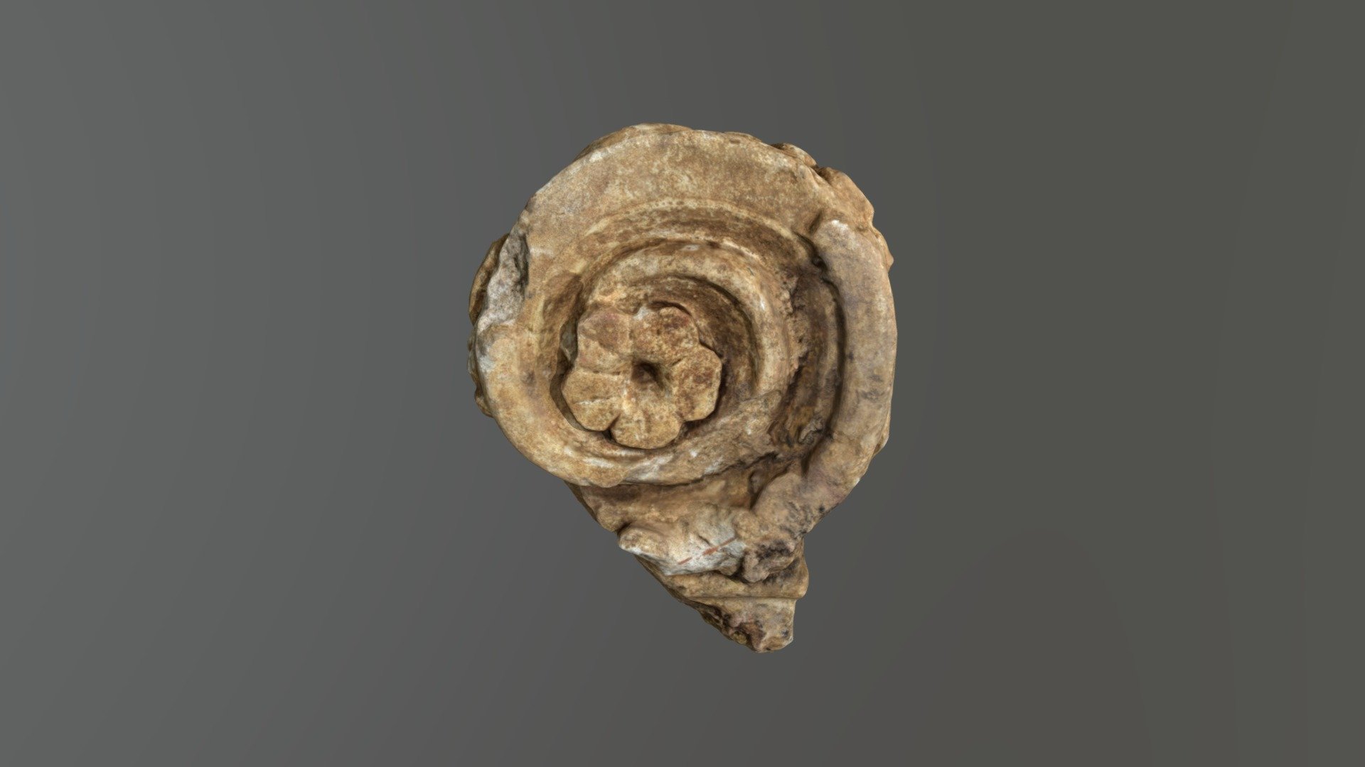 Voluta en estuco - 3D model by Kalterion [efc68ff] - Sketchfab