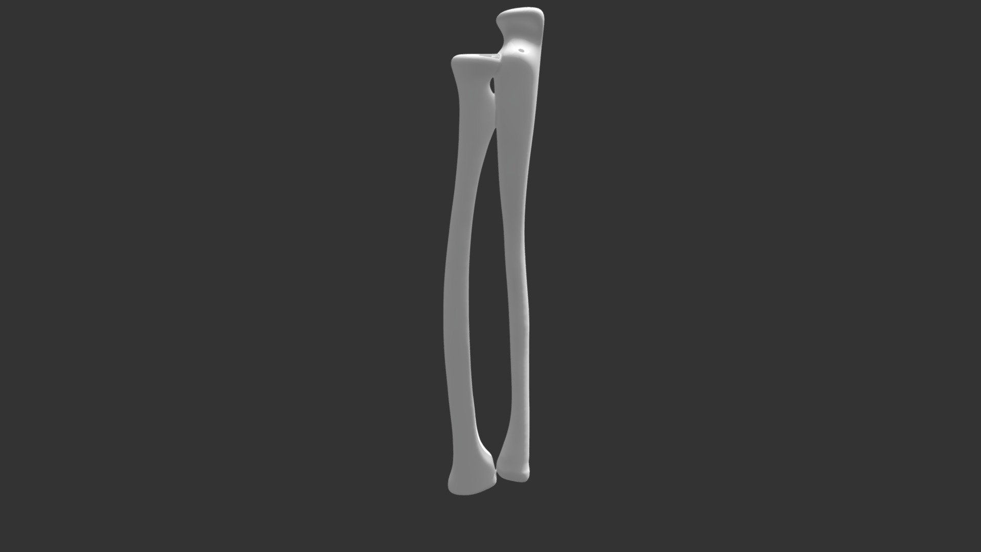 Bammes Lower Arm bones - 3D model by Matt (@matustuff) [efc898d ...