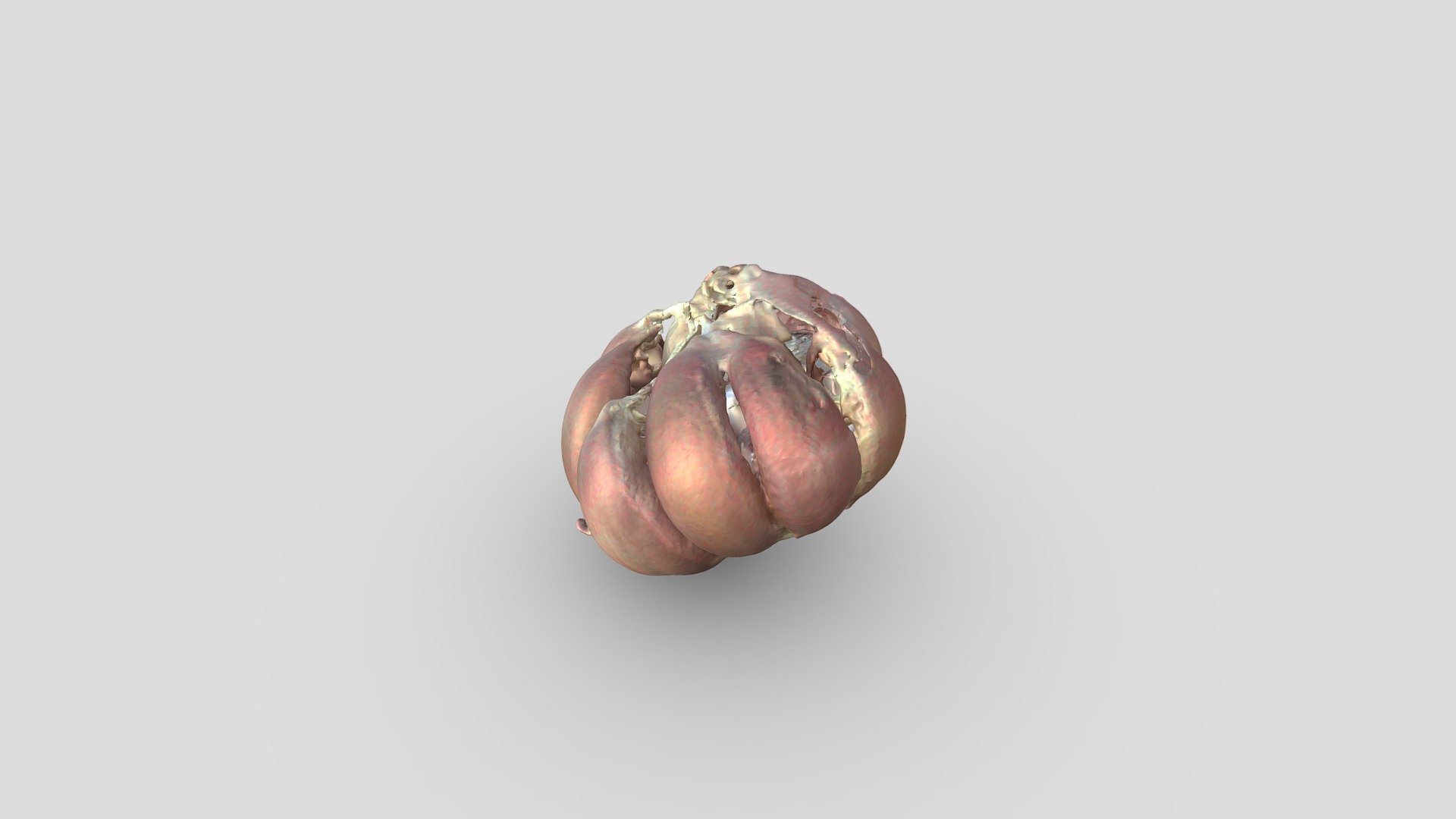 Garlic - Download Free 3D model by Diana Liu (@Diana123456) [efcfbcc ...