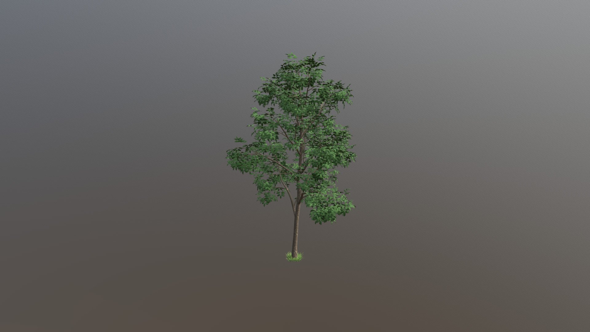 Simple Tree - 3D model by tojamerlin [efdcea7] - Sketchfab