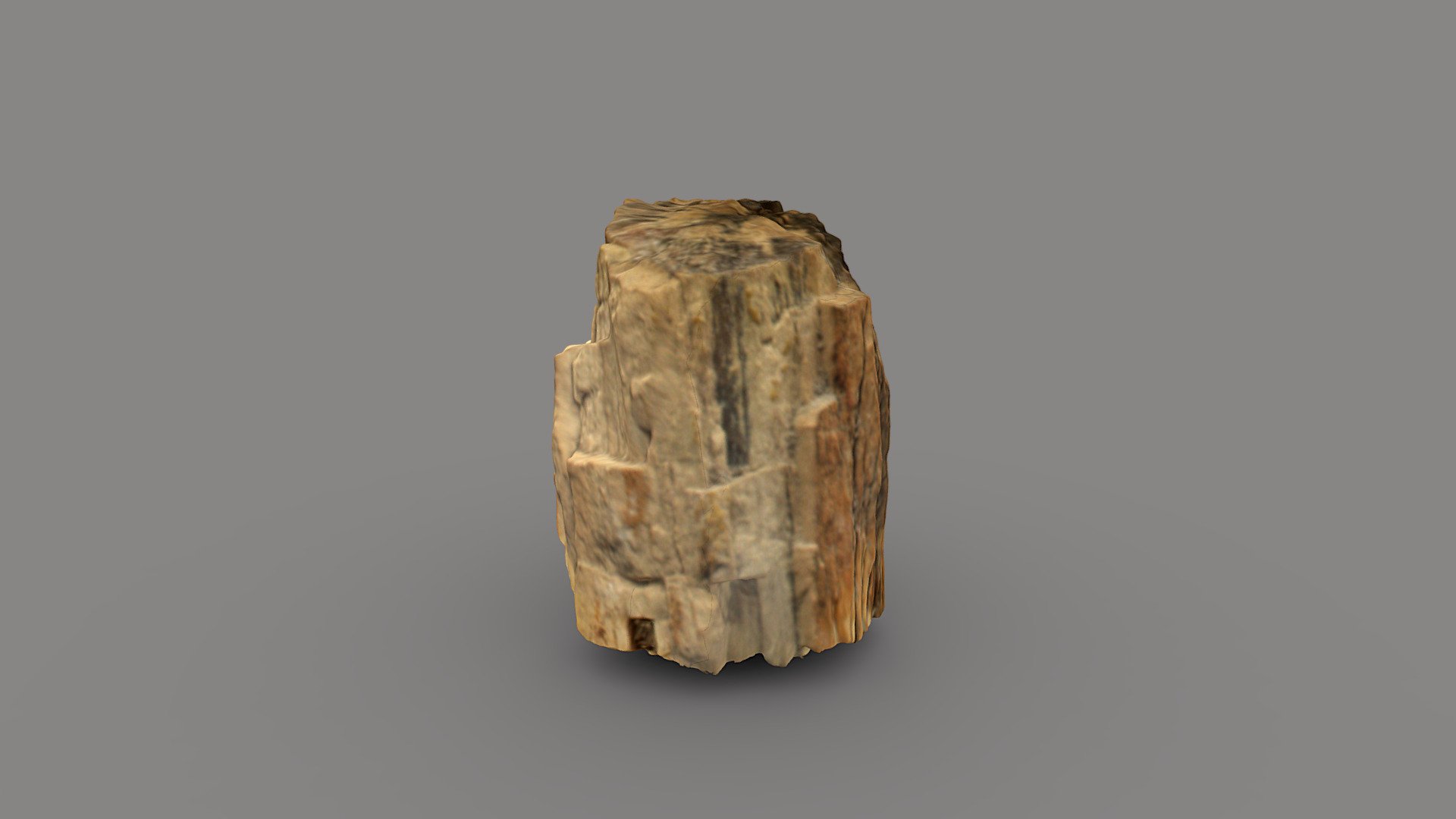 Petrified Wood - Download Free 3D model by The Herring Run Archaeology ...