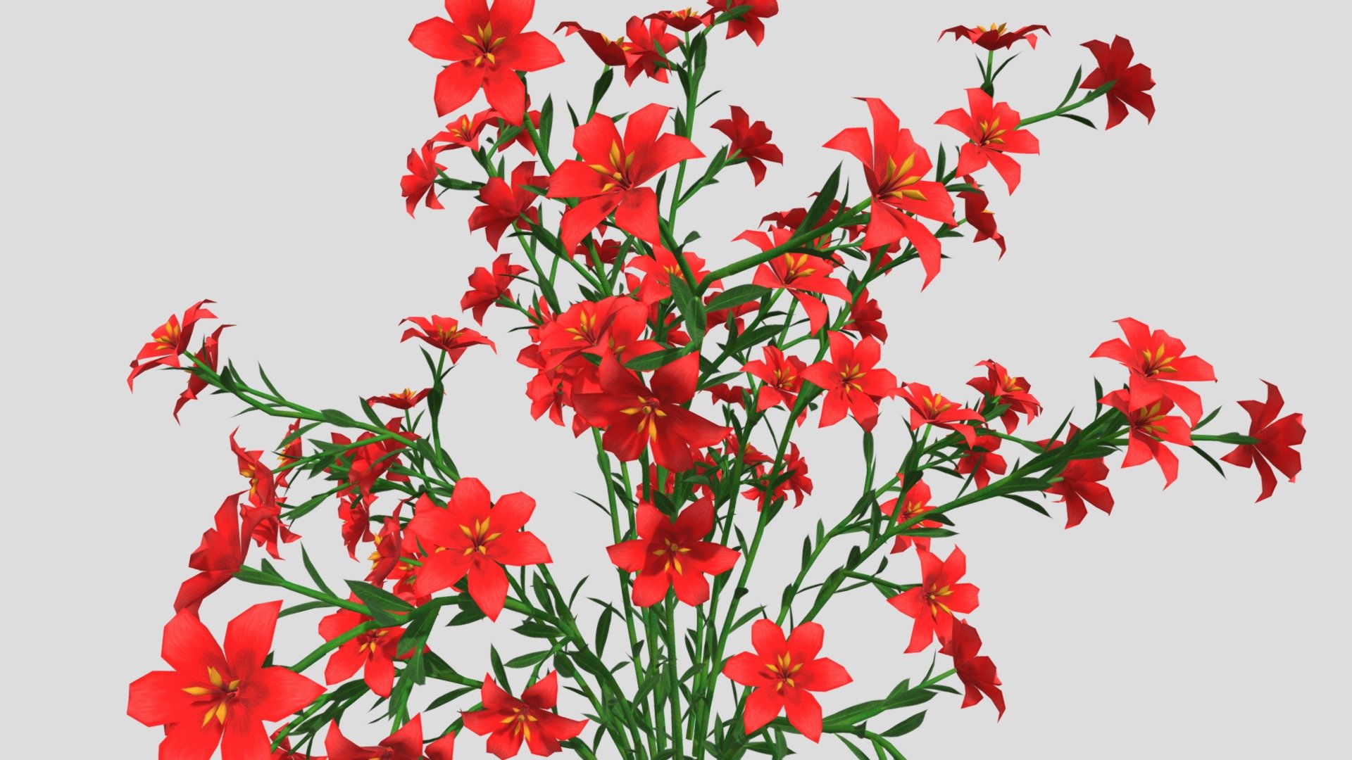 Lilium Flower 3d Model - 3D model by KIZILBOGA (@keremkizilboga ...